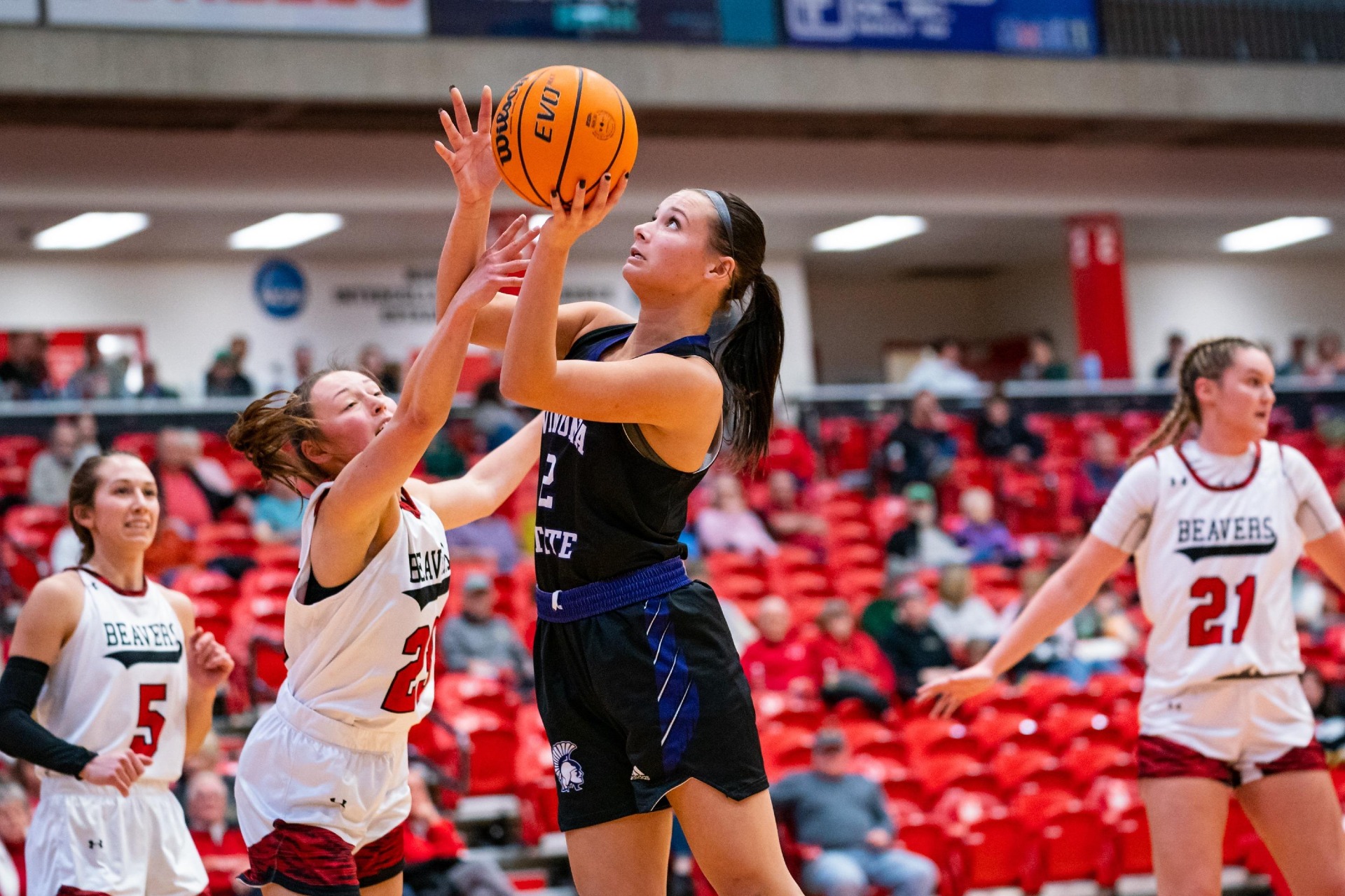 Emma Carpenter - Women's Basketball - Winona State University Athletics