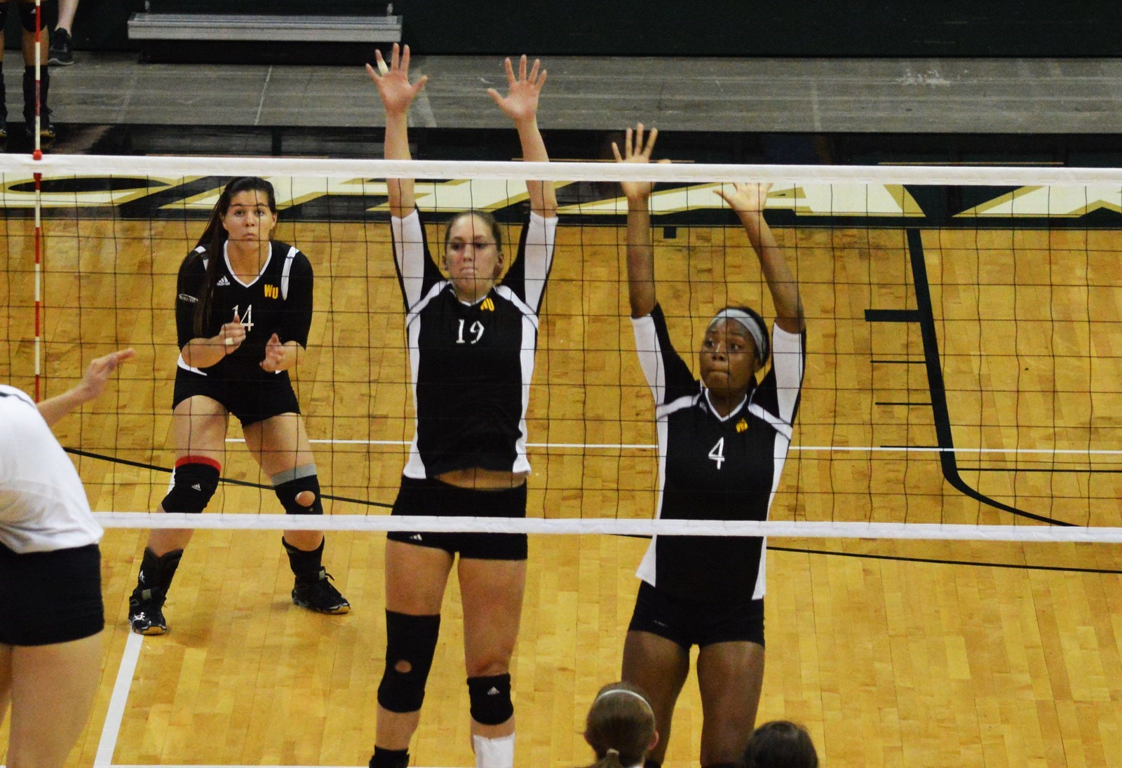 Emma Weakland - Volleyball - Winthrop University Athletics