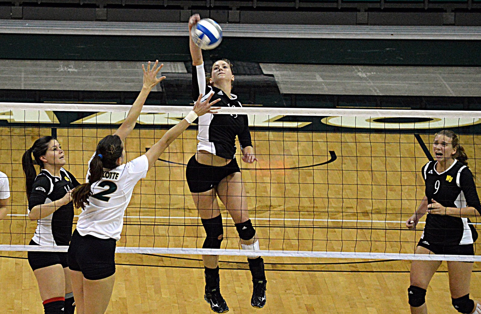 Emma Weakland - Volleyball - Winthrop University Athletics