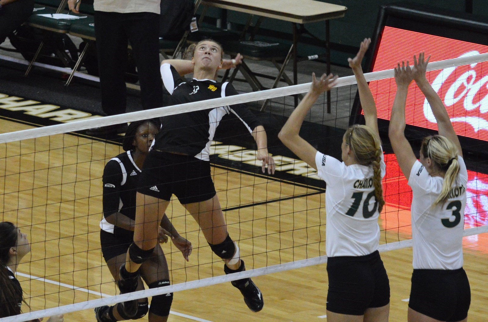 Alina Sopizhuk - Volleyball - Winthrop University Athletics