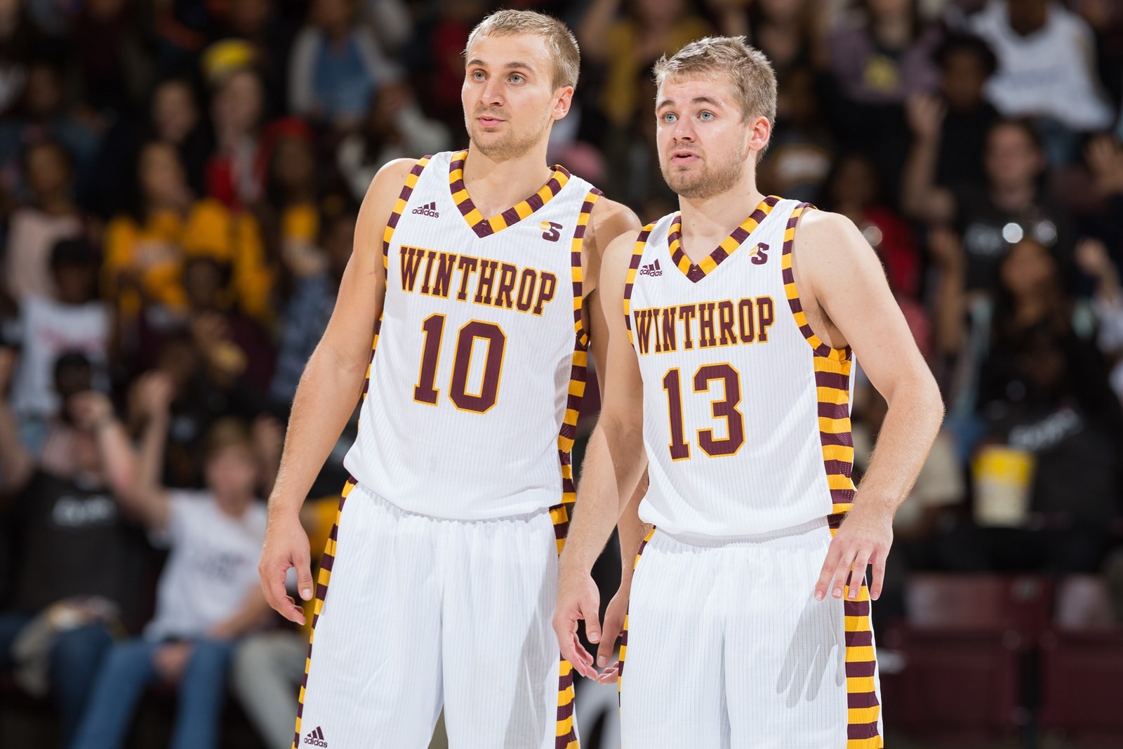 Anders Broman - Men's Basketball - Winthrop University Athletics