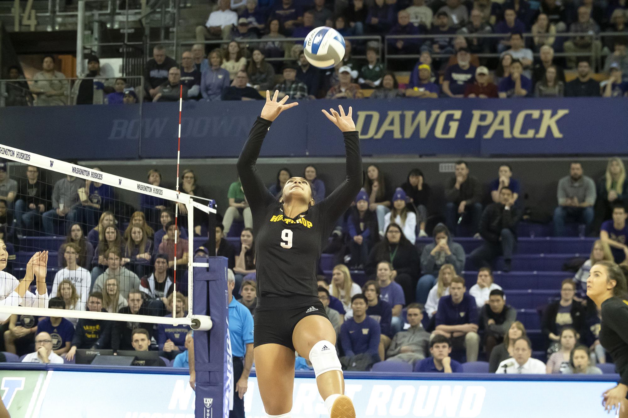 Siani Yamaguchi - Volleyball - Winthrop University Athletics