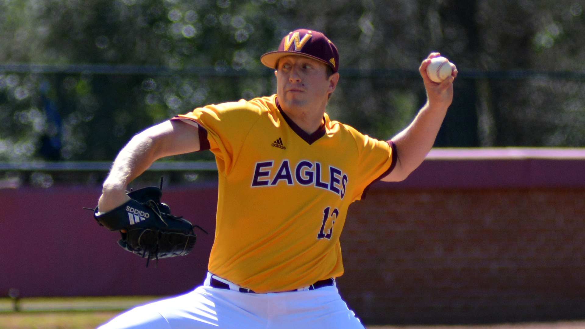 Thad Harris - Baseball - Winthrop University Athletics