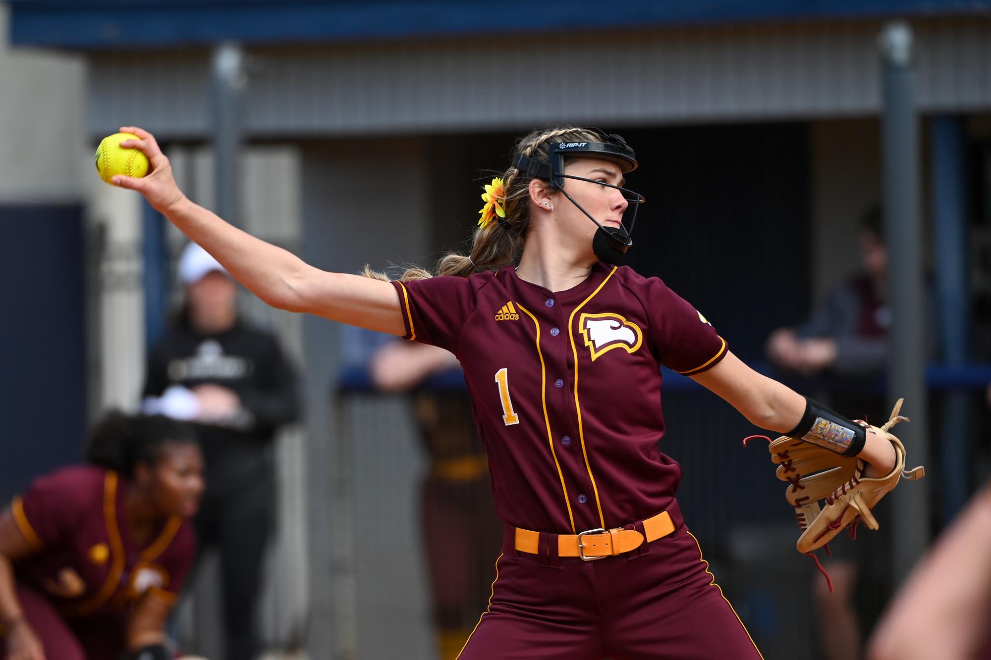 Eagles Fall At South Carolina Thursday Night - Winthrop University ...