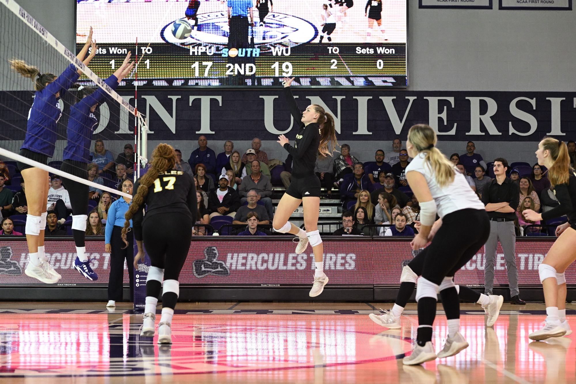 Eagles Conclude 2023 Season In First Round Of NIVC Tournament ...