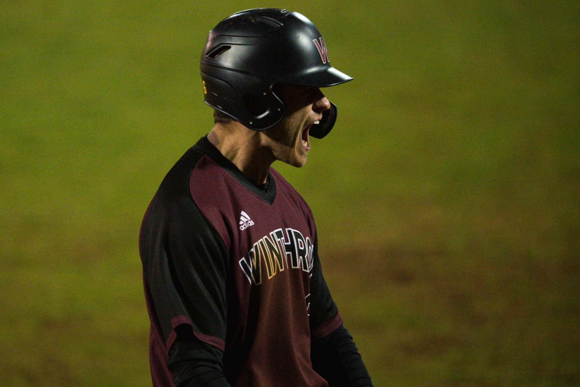 Eagles Take Series Vs. LIU, Move To 2-0 - Winthrop University Athletics