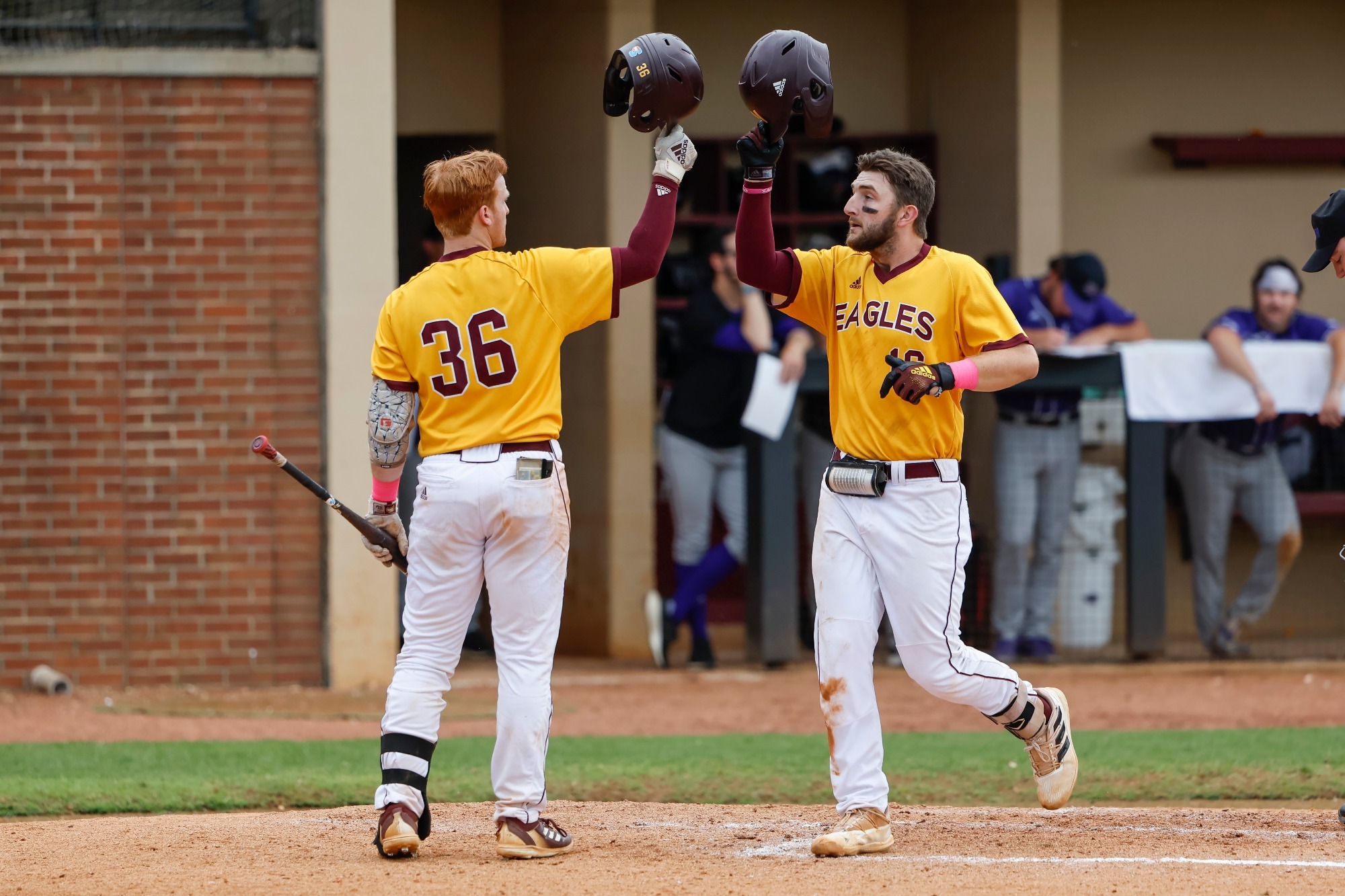 Eagles Capture Season Series With Longwood, Move On To Big South ...