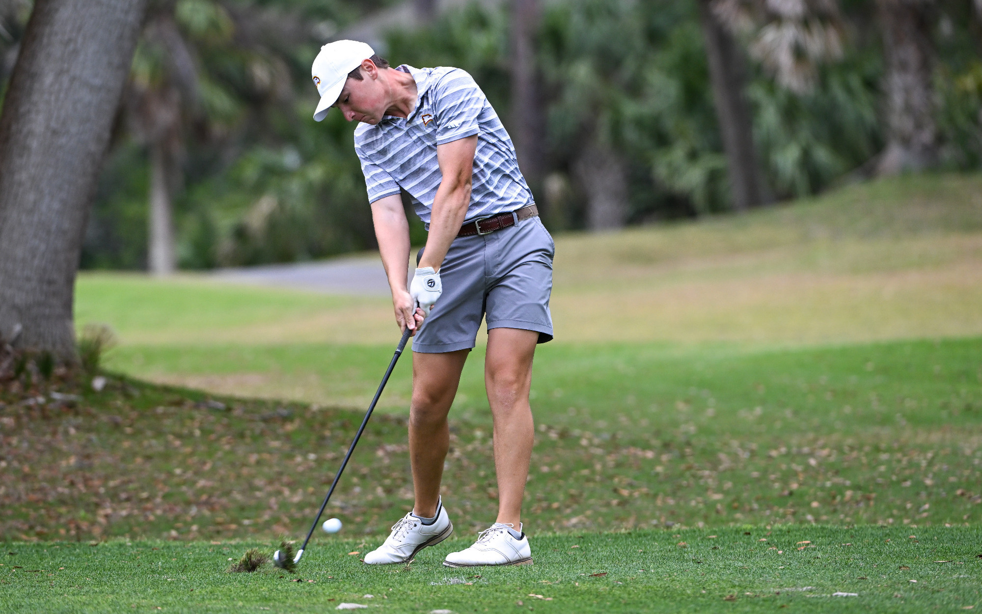 Lutz's Collegiate-Low Round Paces Eagles In Opening Round Of Peoples ...