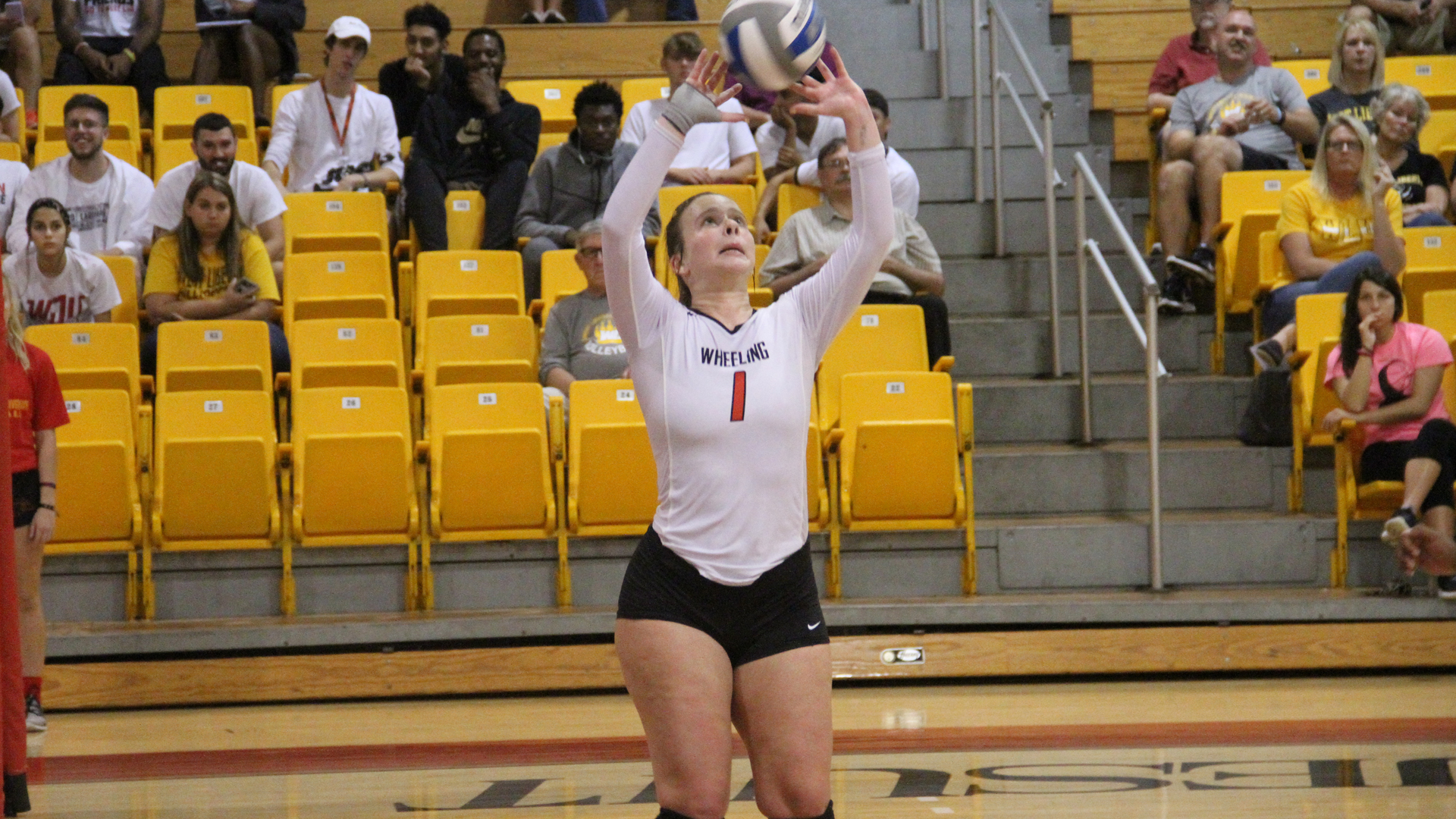 Stephanie Sylvester - Volleyball - Wheeling University Athletics