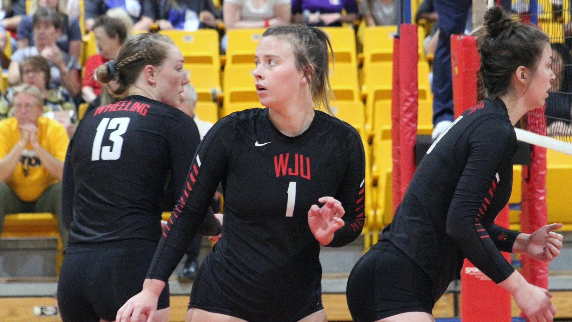 Stephanie Sylvester - Volleyball - Wheeling University Athletics