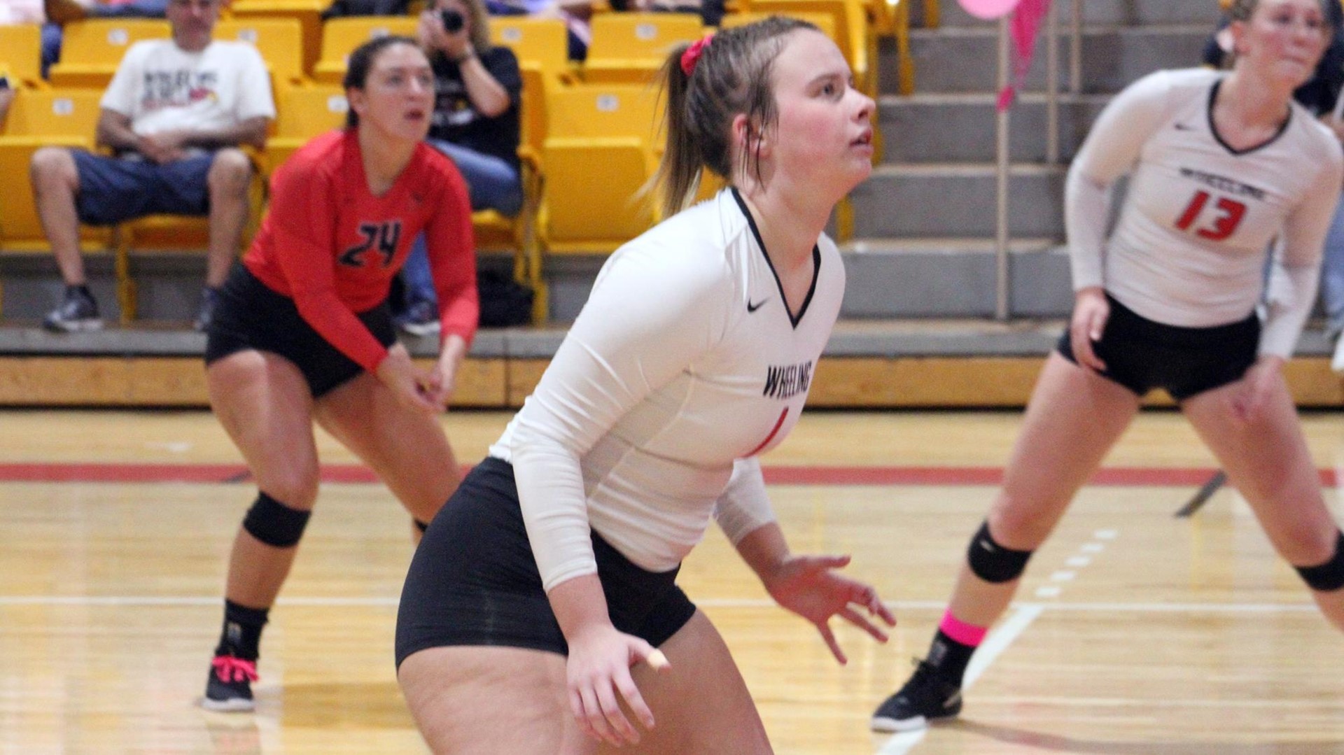 Stephanie Sylvester - Volleyball - Wheeling University Athletics