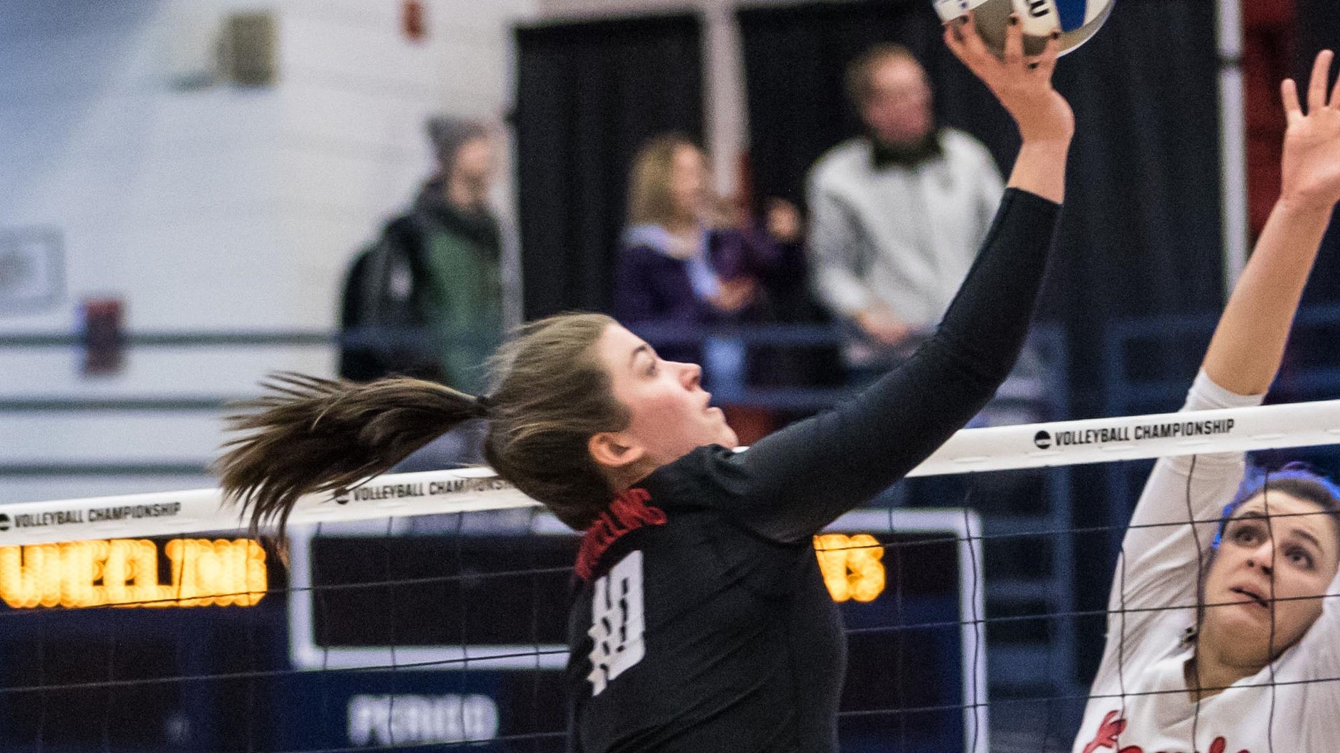 Haley Kramer - Volleyball - Wheeling University Athletics