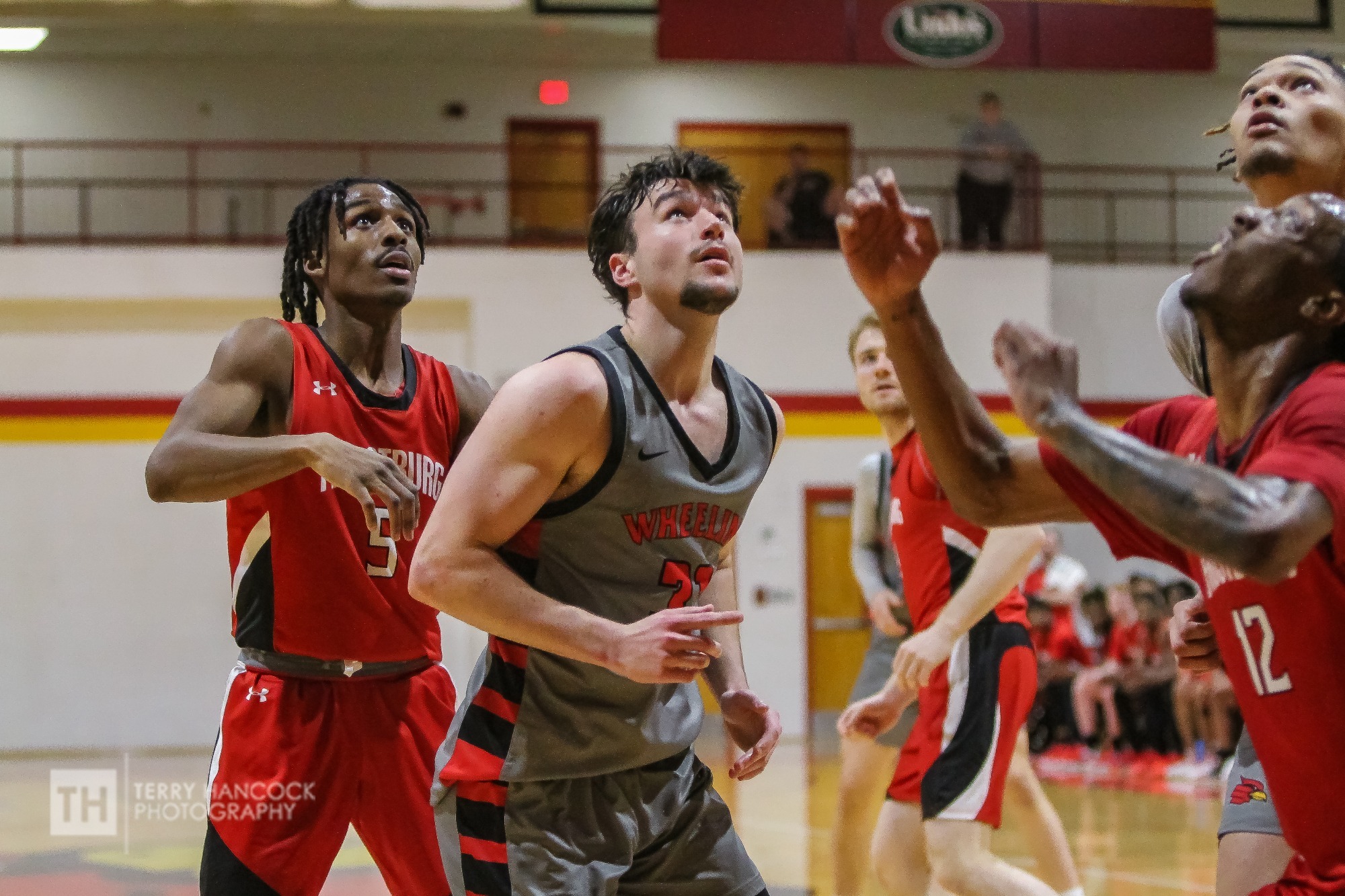 Ryan Reasbeck - Men's Basketball - Wheeling University Athletics