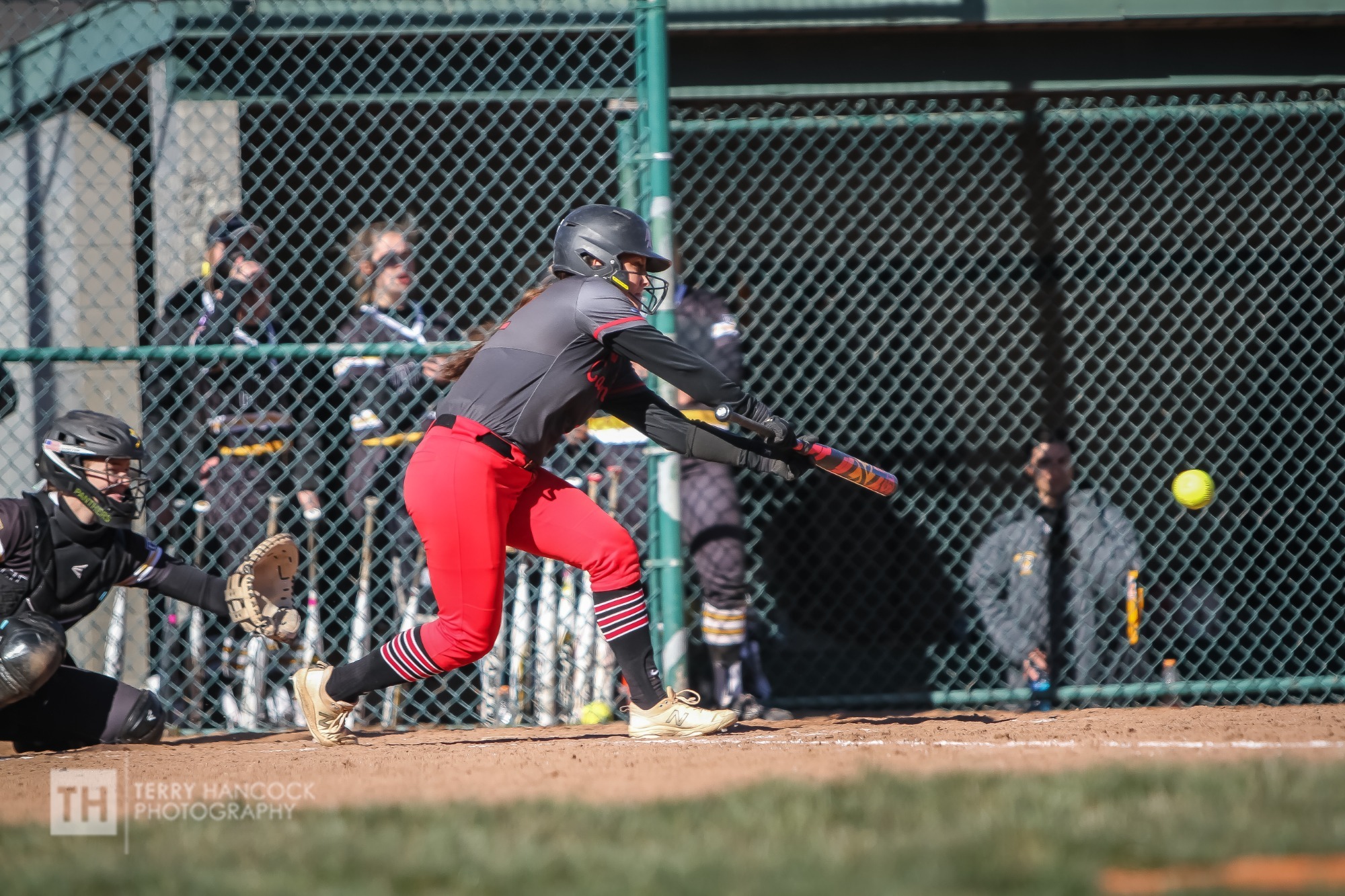 Multi-Hit Efforts Lead Wheeling Softball at Fairmont State - Wheeling University Athletics