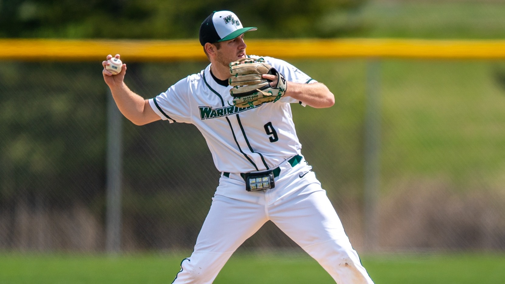 Dominick Breaks Hits Record As Warriors Split At St. Norbert ...