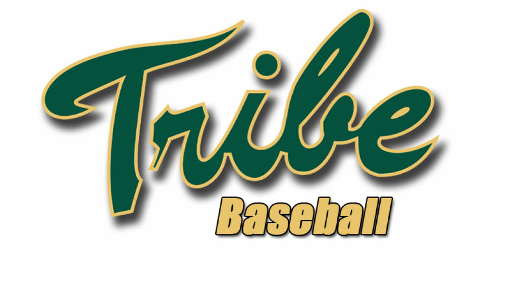 Tribe Baseball Recruit Questionnaire - William & Mary Athletics