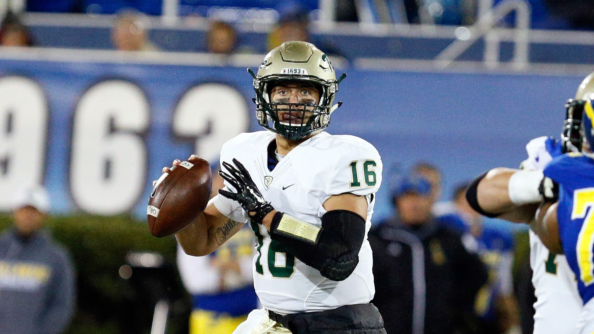 Steve Cluley - 2016 - Football - William & Mary Athletics