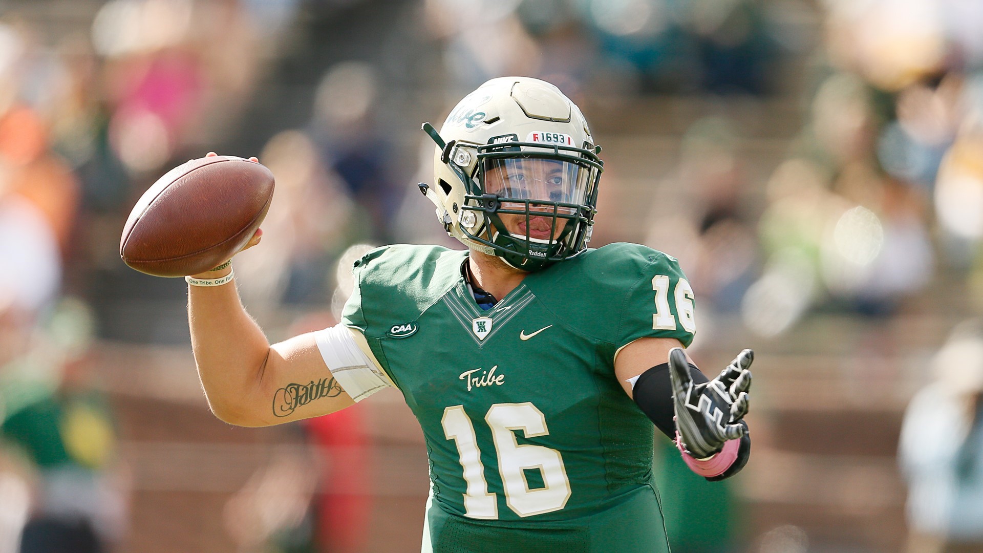 Steve Cluley - 2016 - Football - William & Mary Athletics