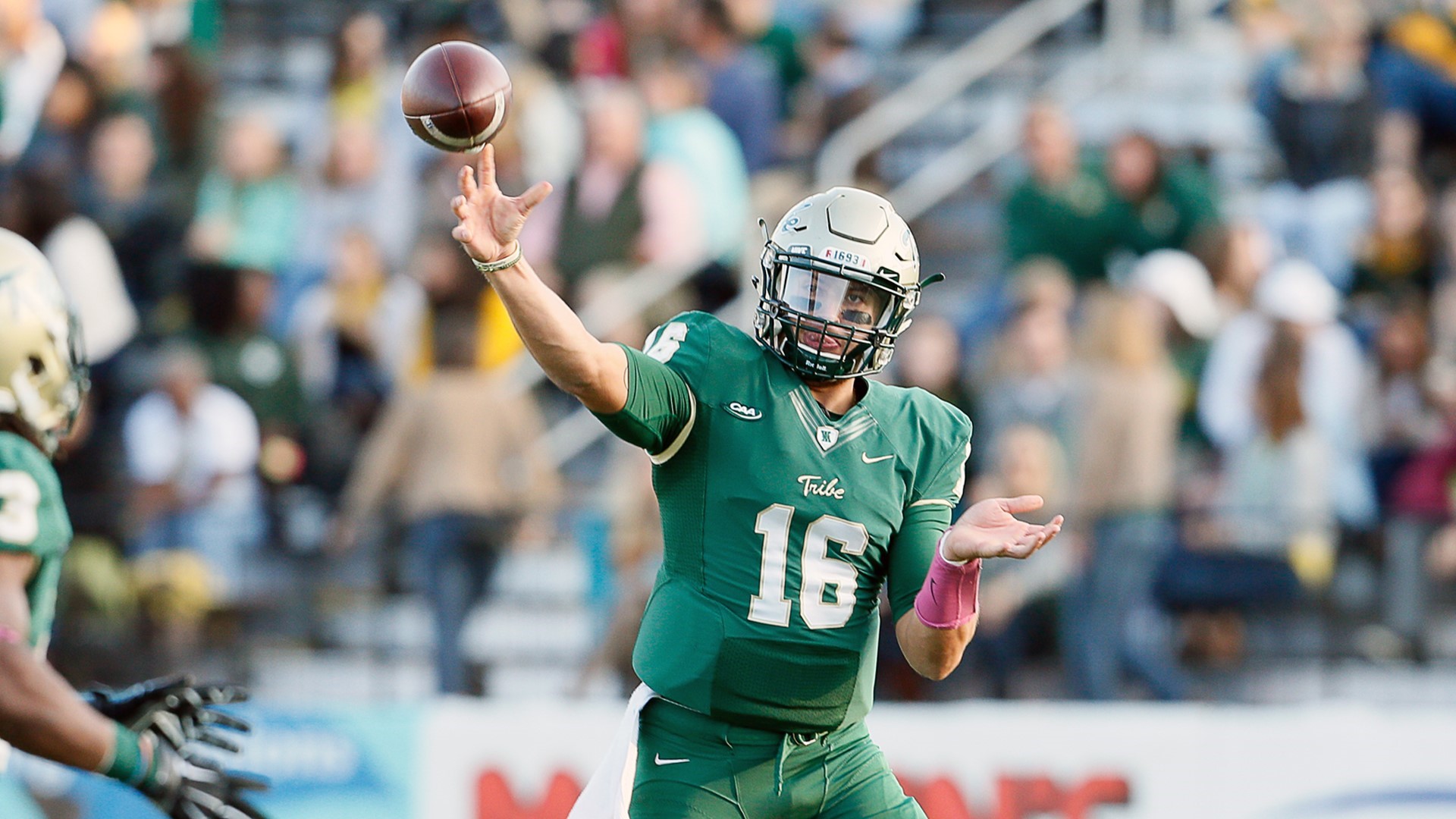 Steve Cluley - 2016 - Football - William & Mary Athletics