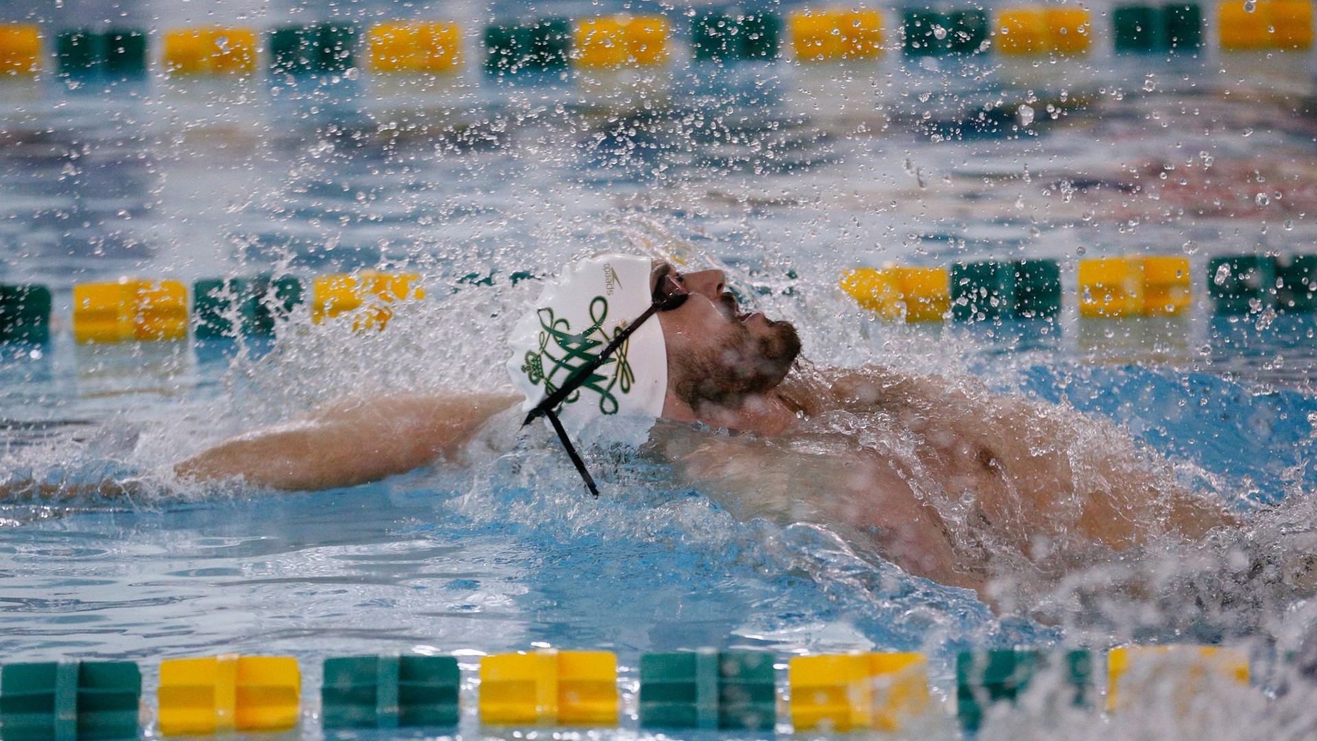 Will Manion - 2015-16 - Men's Swimming - William & Mary Athletics