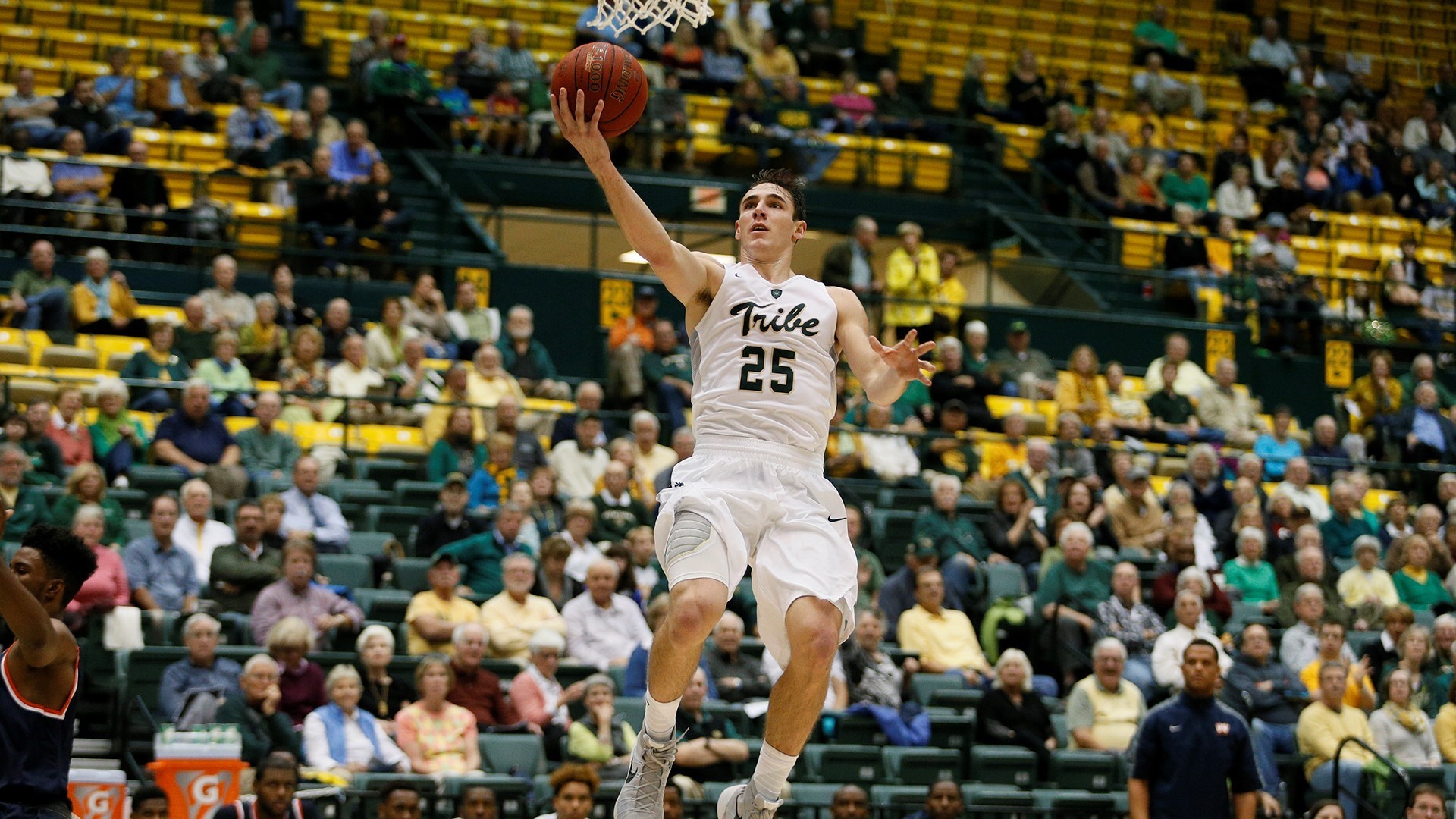 Terry Tarpey - 2015-16 - Men's Basketball - William & Mary Athletics