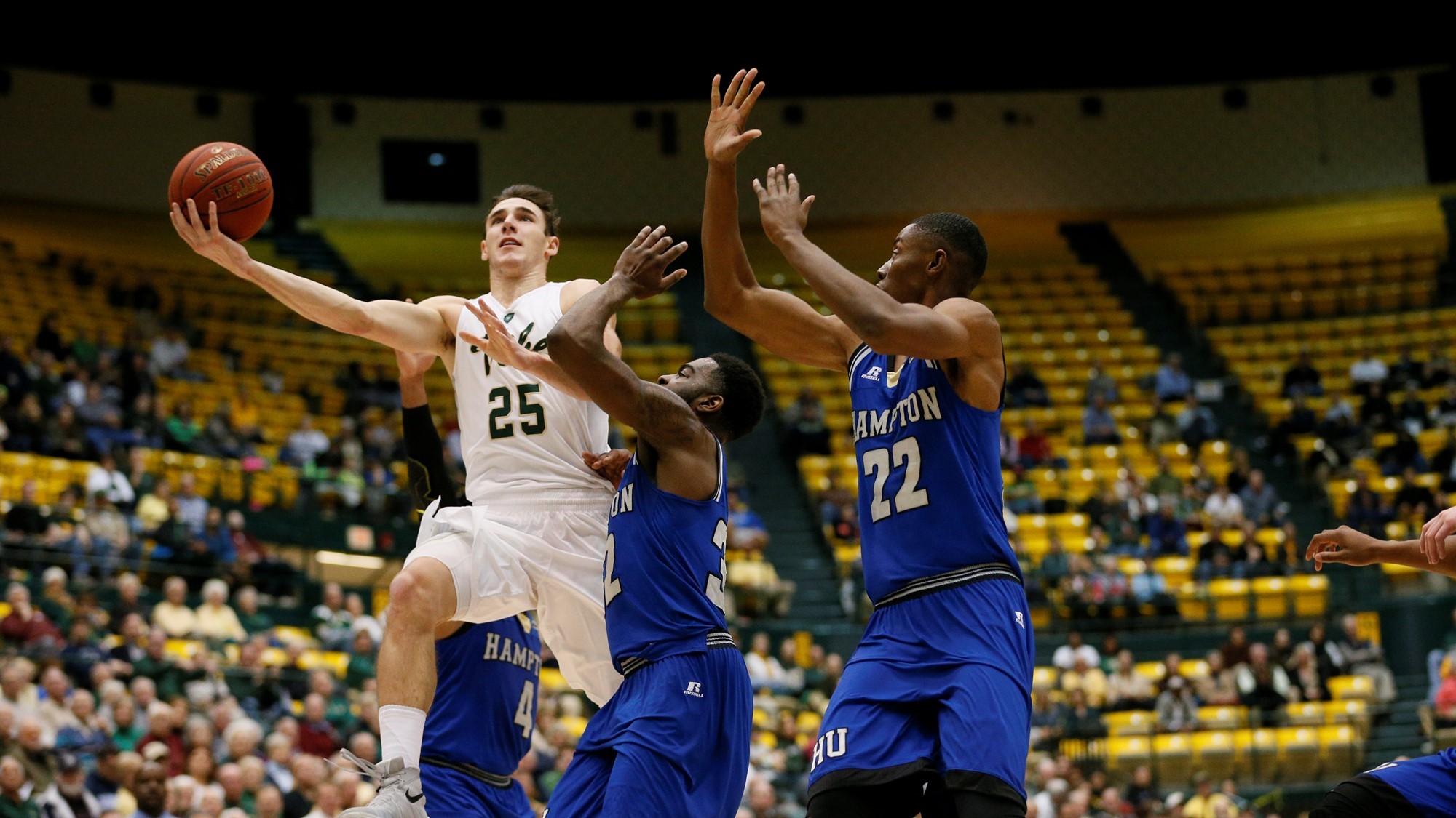 Terry Tarpey - 2015-16 - Men's Basketball - William & Mary Athletics