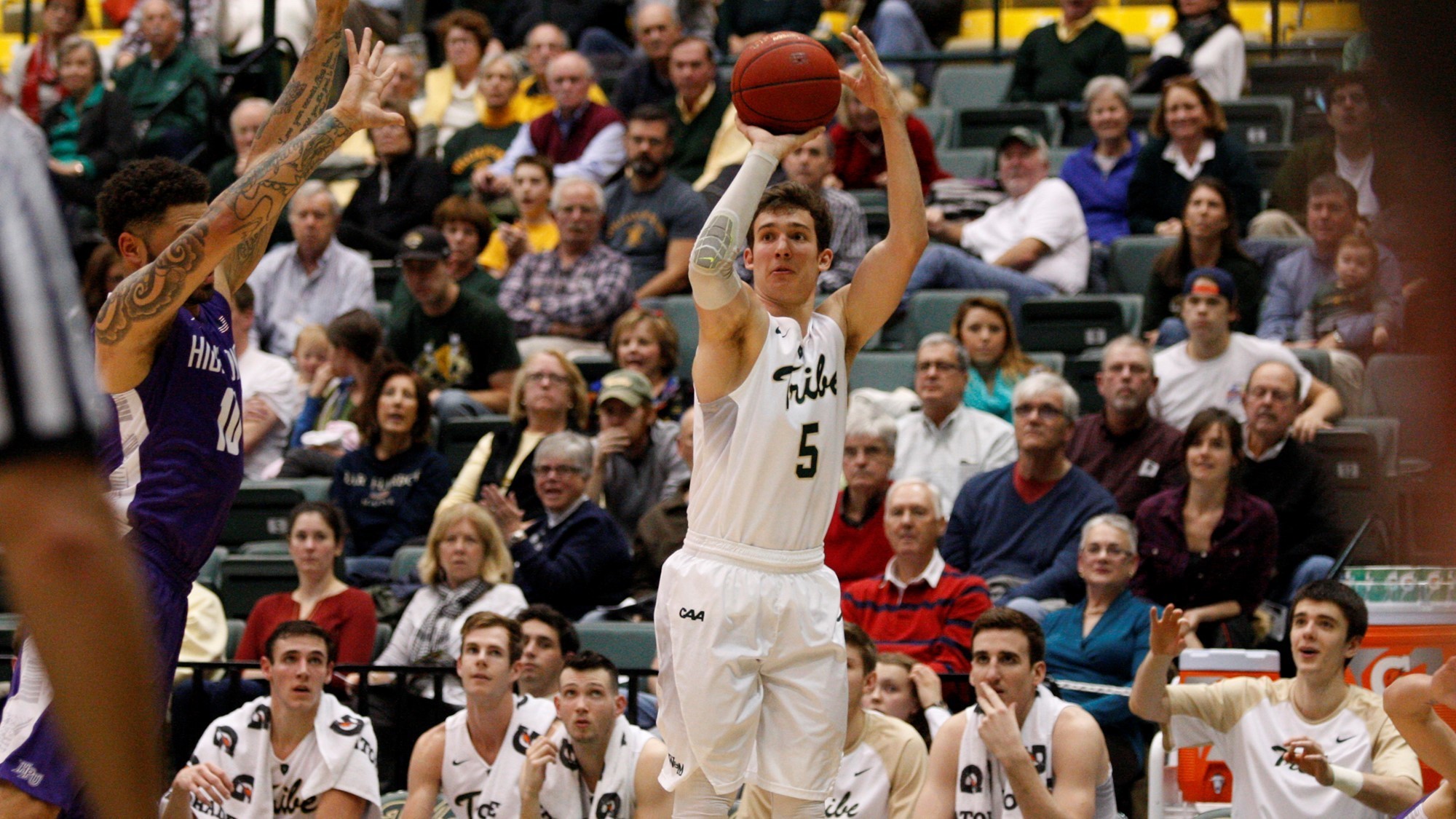 Greg Malinowski - 2016-17 - Men's Basketball - William & Mary Athletics
