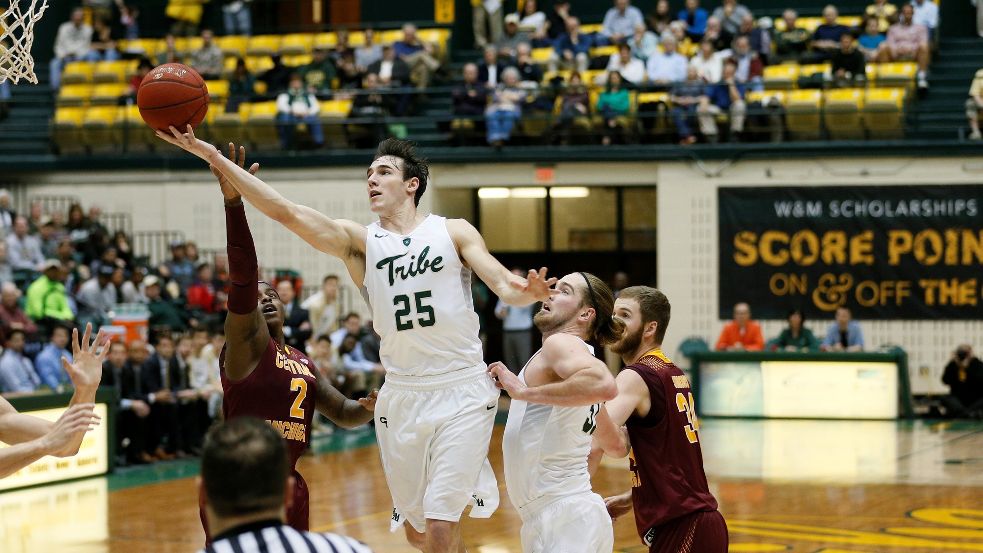 Terry Tarpey - 2015-16 - Men's Basketball - William & Mary Athletics