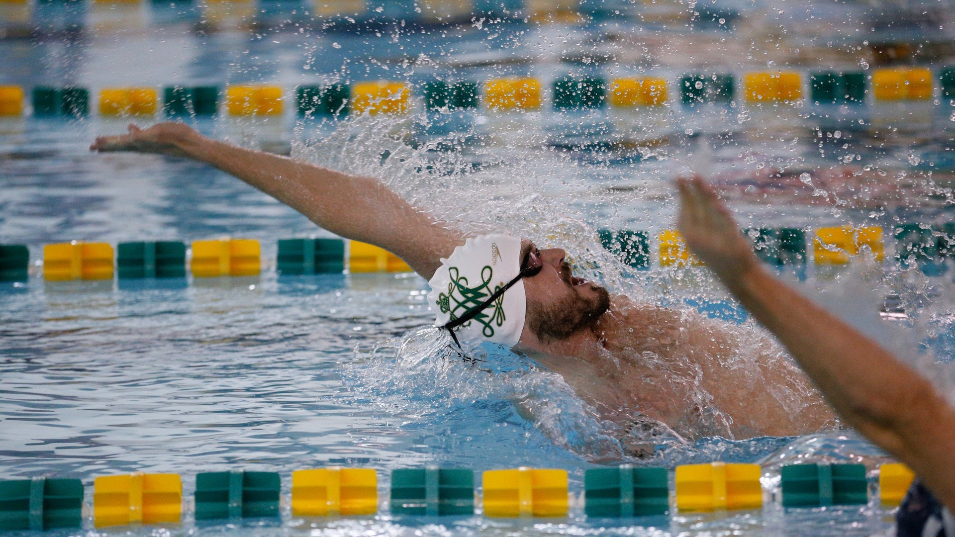Will Manion - 2015-16 - Men's Swimming - William & Mary Athletics