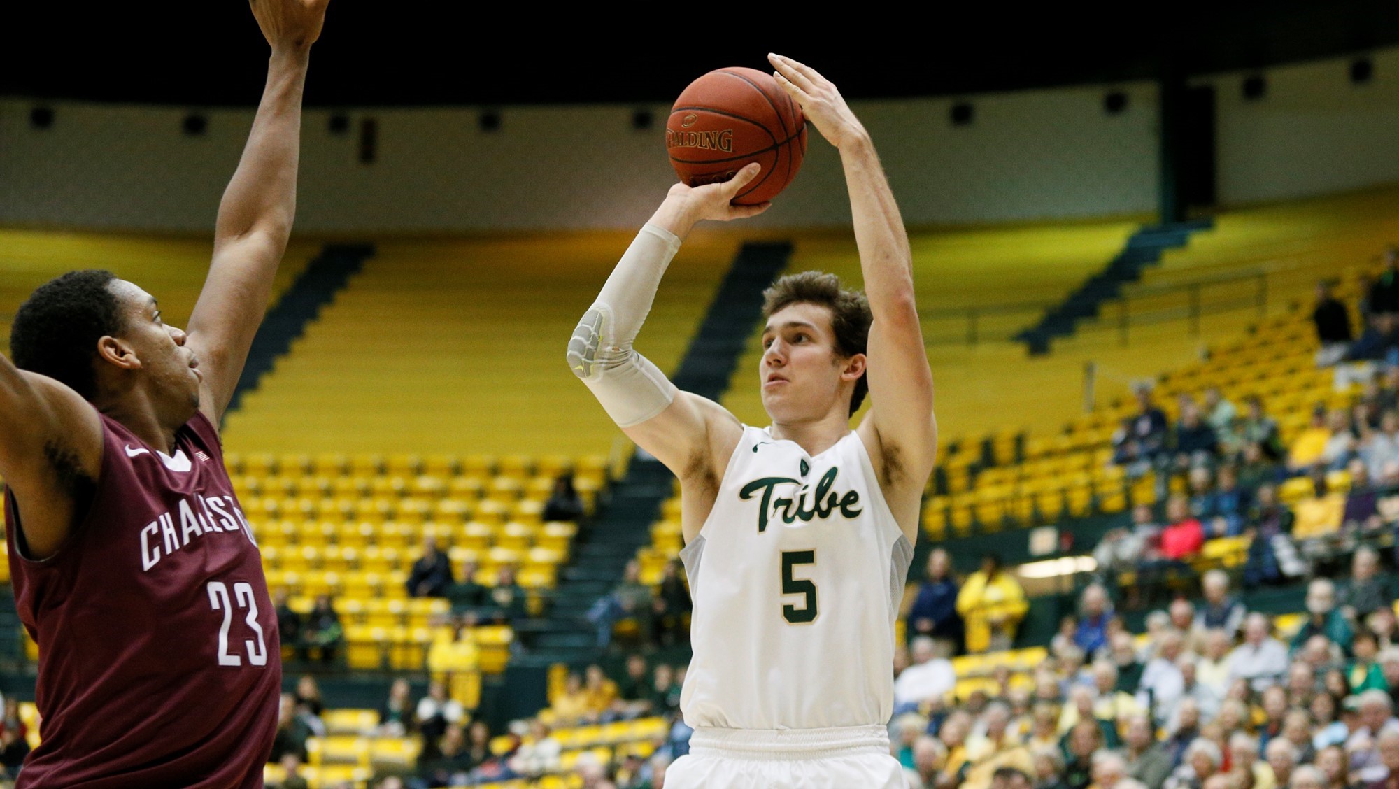 Greg Malinowski - 2016-17 - Men's Basketball - William & Mary Athletics