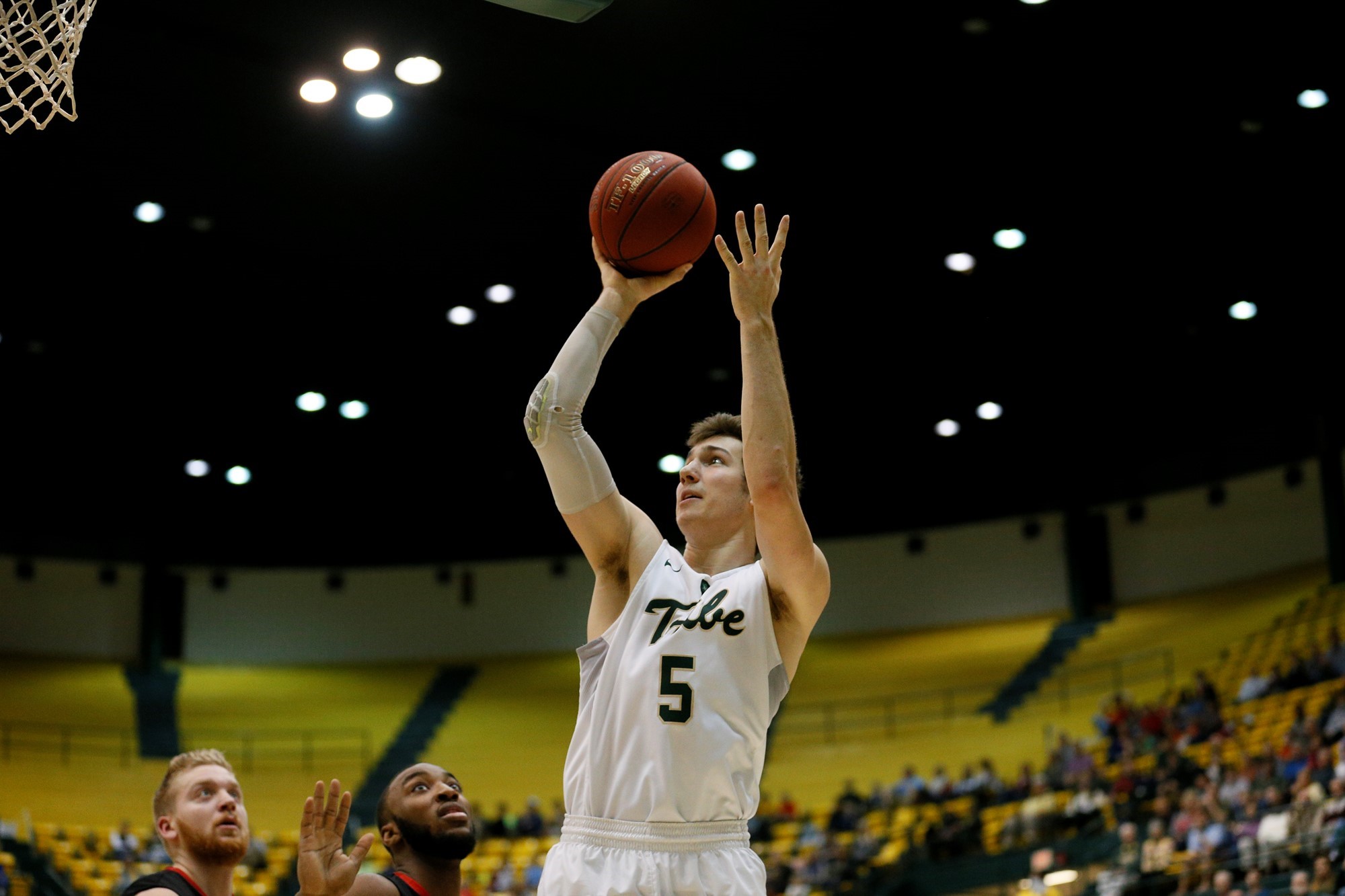 Greg Malinowski - 2016-17 - Men's Basketball - William & Mary Athletics