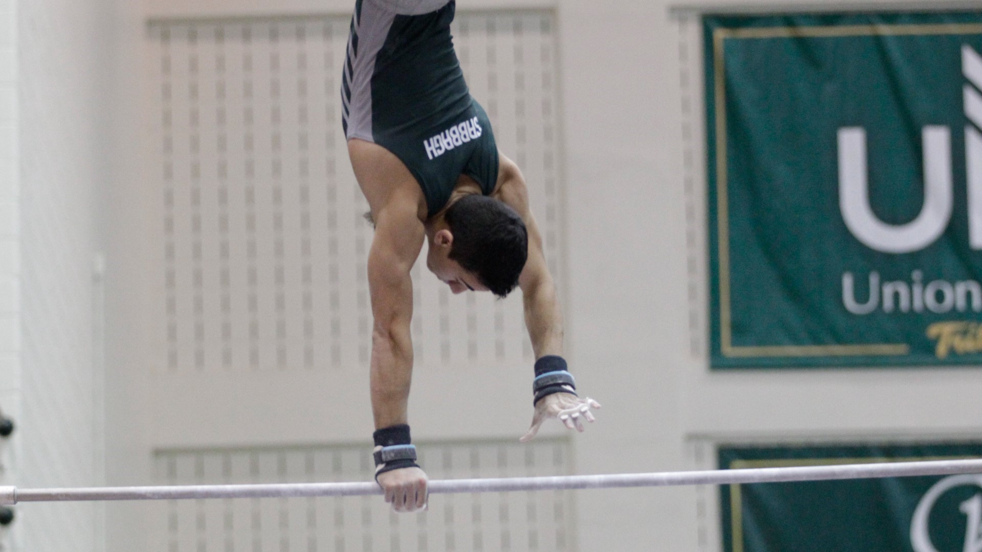 Aria Sabbagh - 2016-17 - Men's Gymnastics - William & Mary Athletics