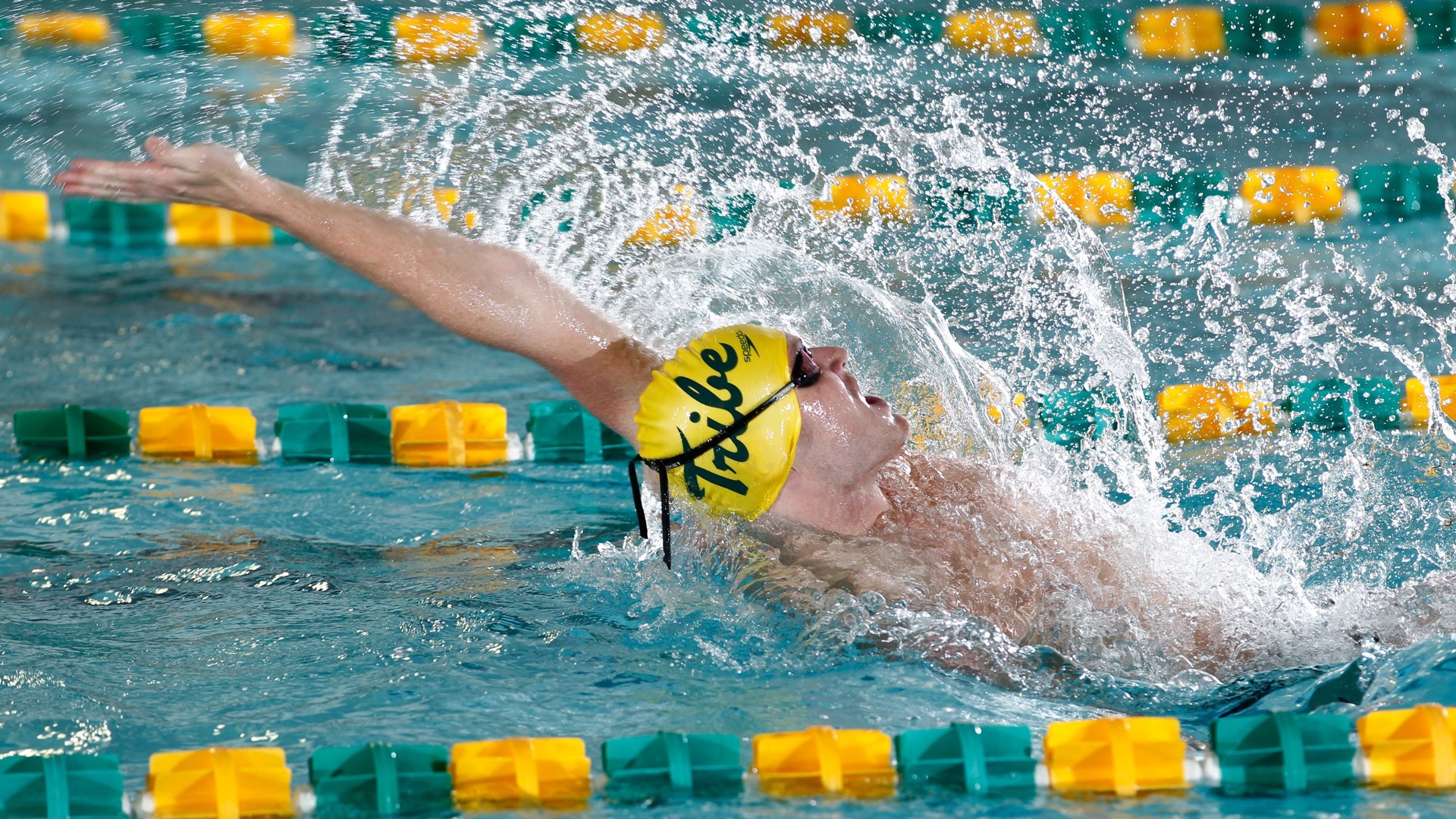 Will Manion - 2015-16 - Men's Swimming - William & Mary Athletics