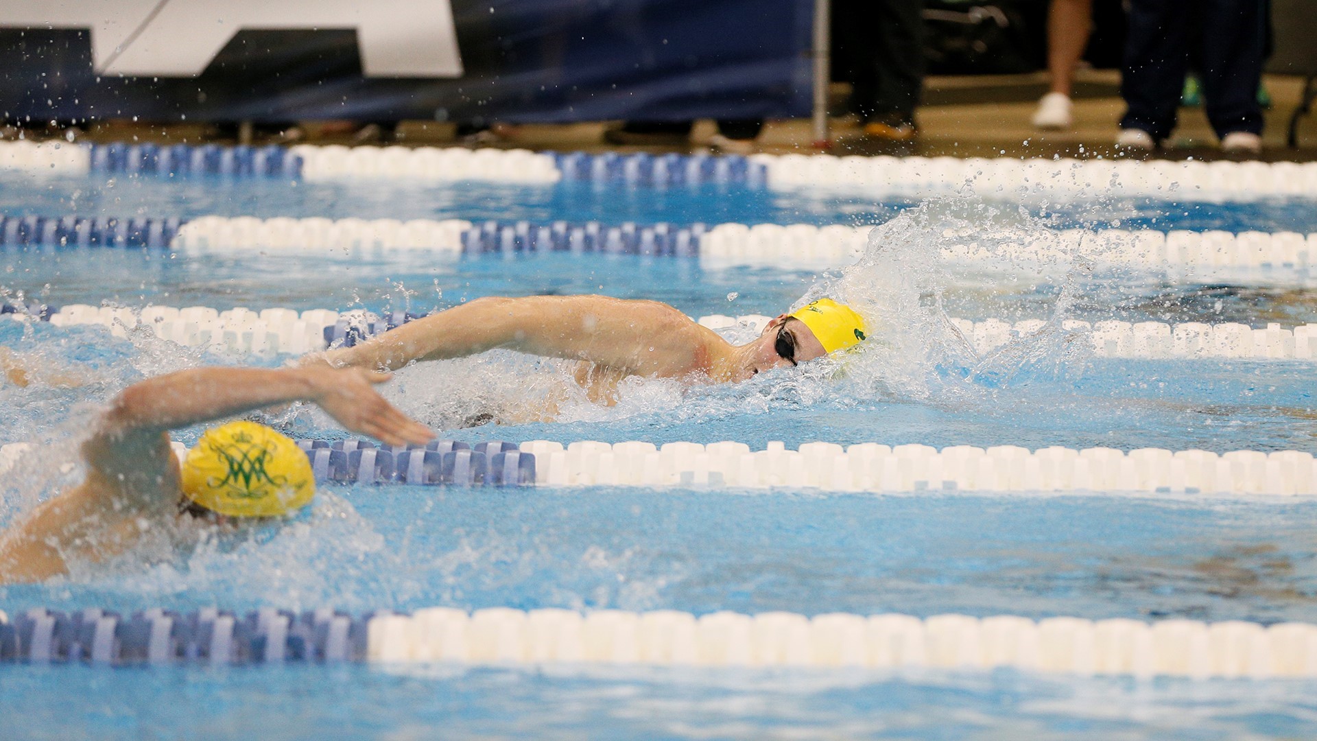 Joe Eiden - 2016-17 - Men's Swimming - William & Mary Athletics