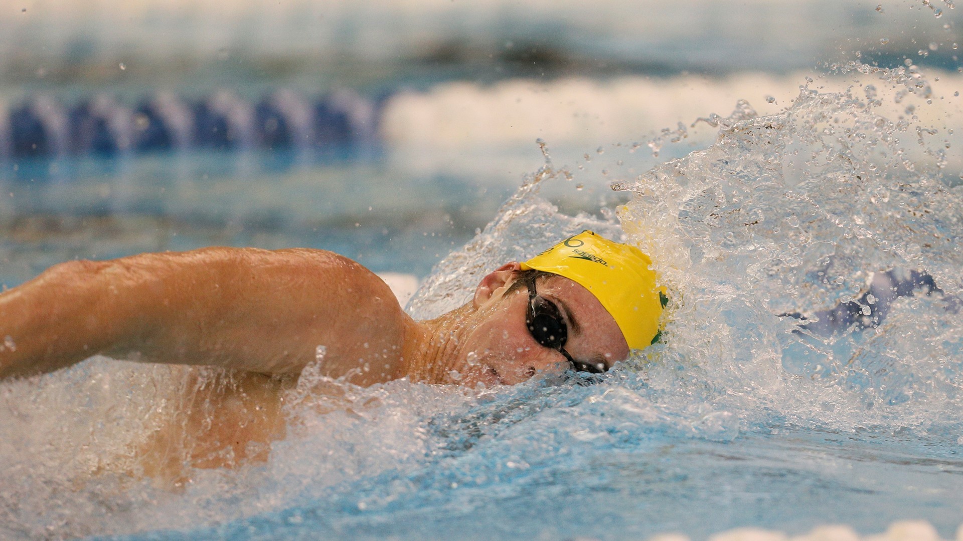 Joe Eiden - 2016-17 - Men's Swimming - William & Mary Athletics