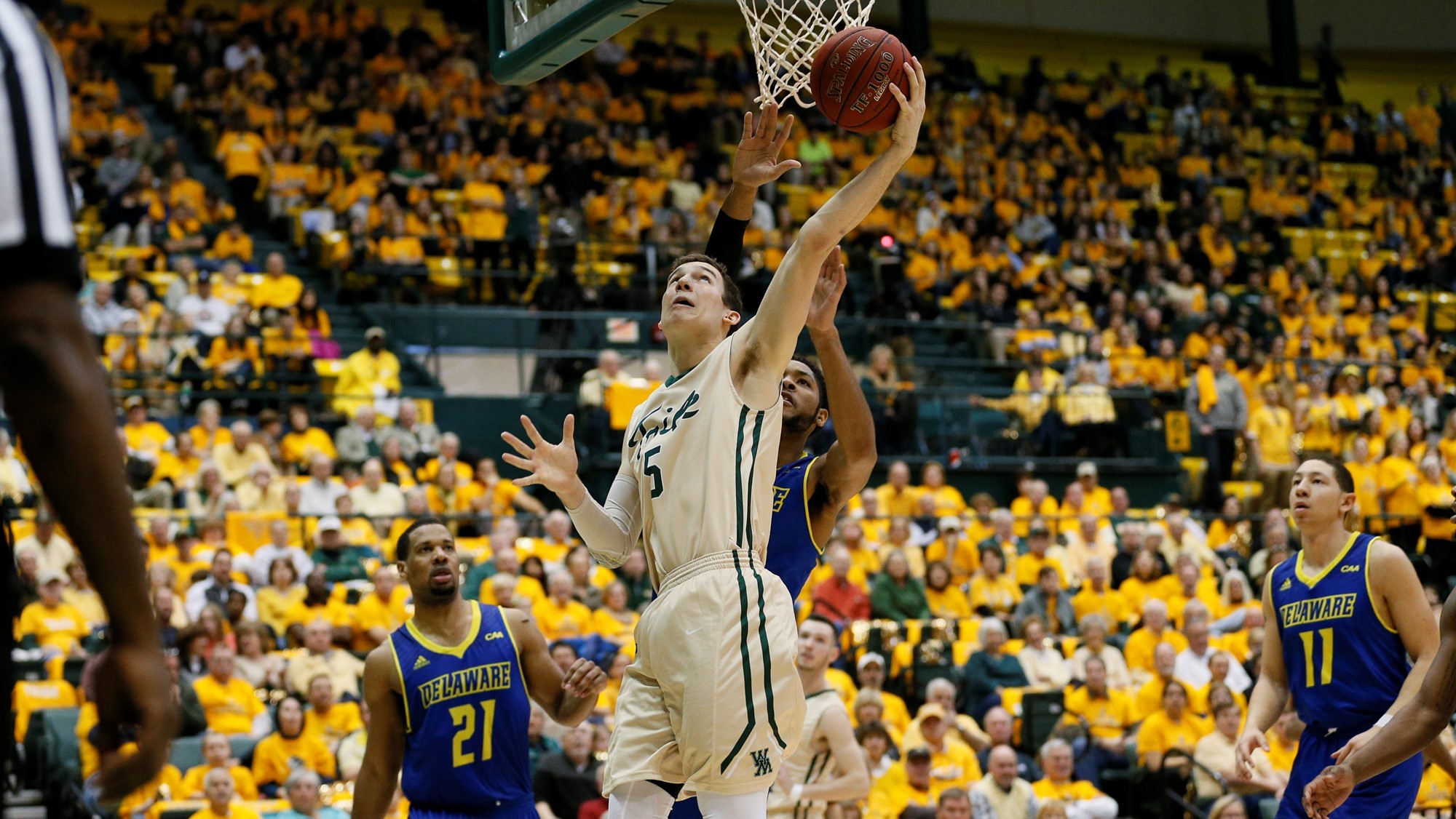 Greg Malinowski - 2016-17 - Men's Basketball - William & Mary Athletics