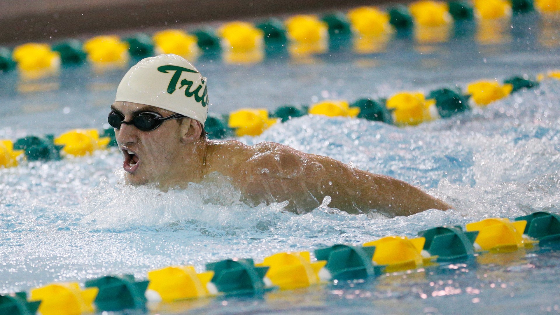 Joey Rento - 2018-19 - Men's Swimming - William & Mary Athletics