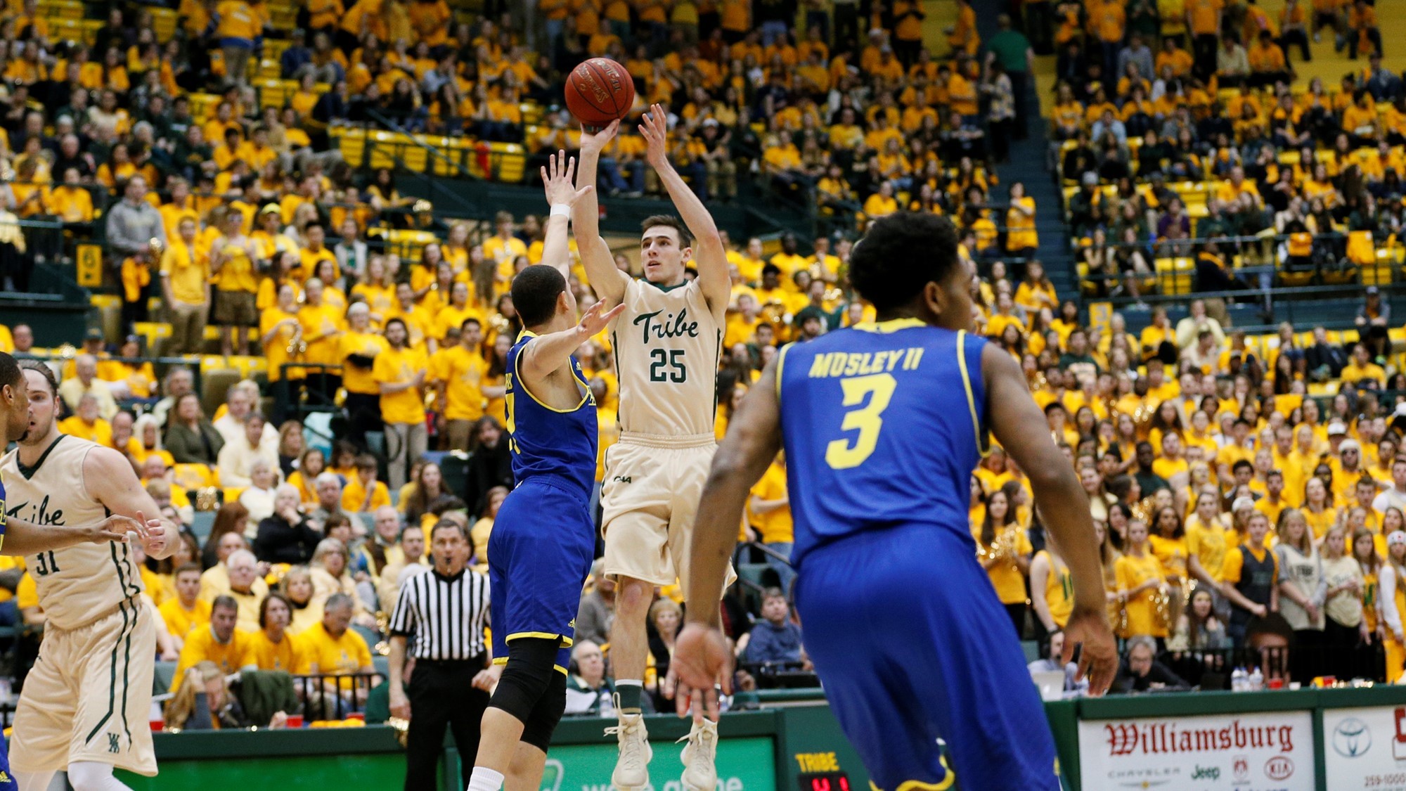 Terry Tarpey - 2015-16 - Men's Basketball - William & Mary Athletics