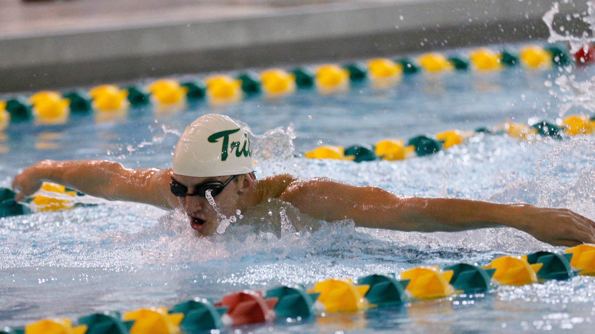 Joey Rento - 2018-19 - Men's Swimming - William & Mary Athletics