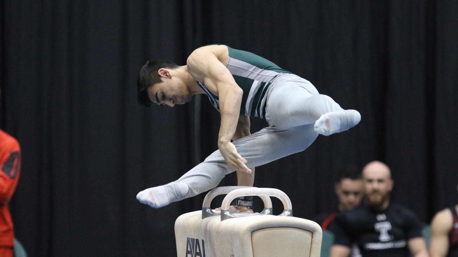 Aria Sabbagh - 2016-17 - Men's Gymnastics - William & Mary Athletics
