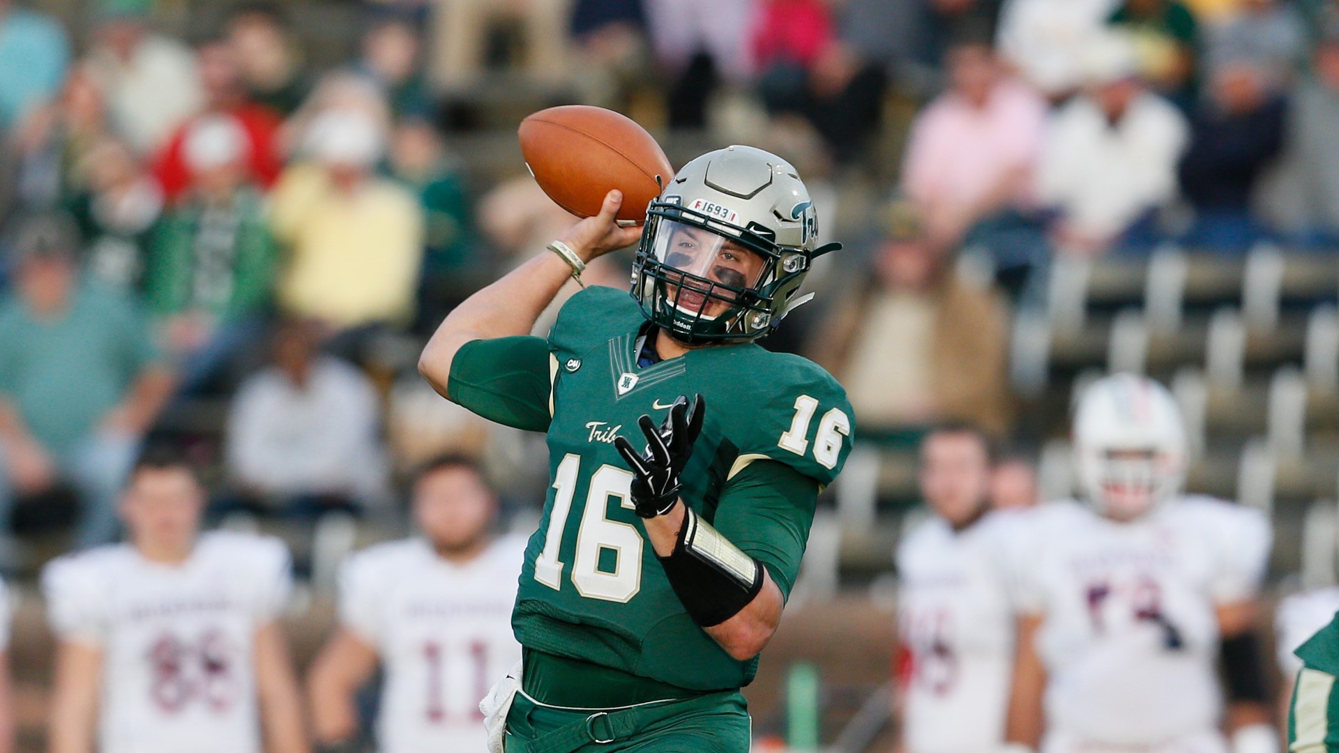 Steve Cluley - 2016 - Football - William & Mary Athletics