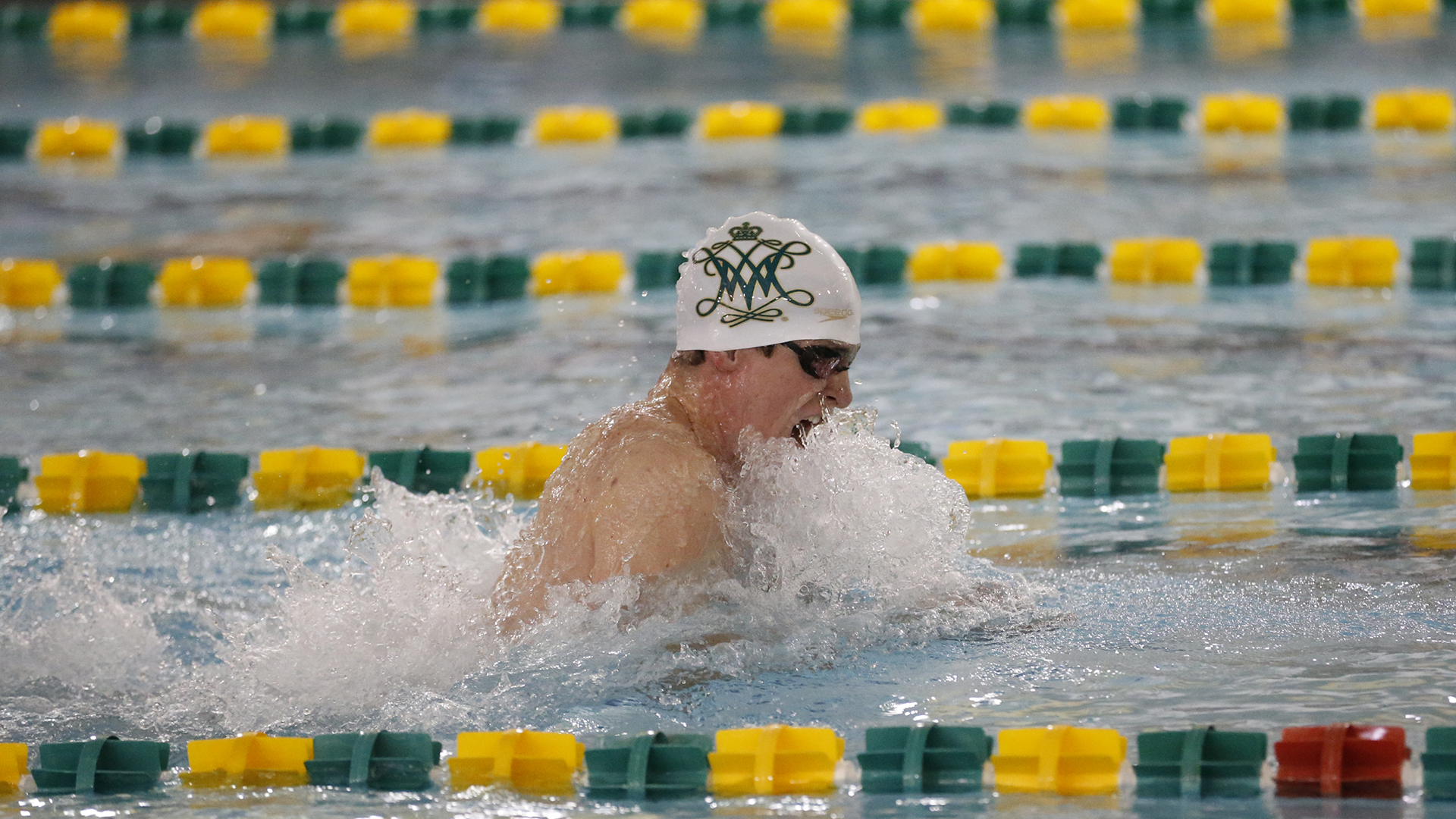 Devin McNulty - 2018-19 - Men's Swimming - William & Mary Athletics