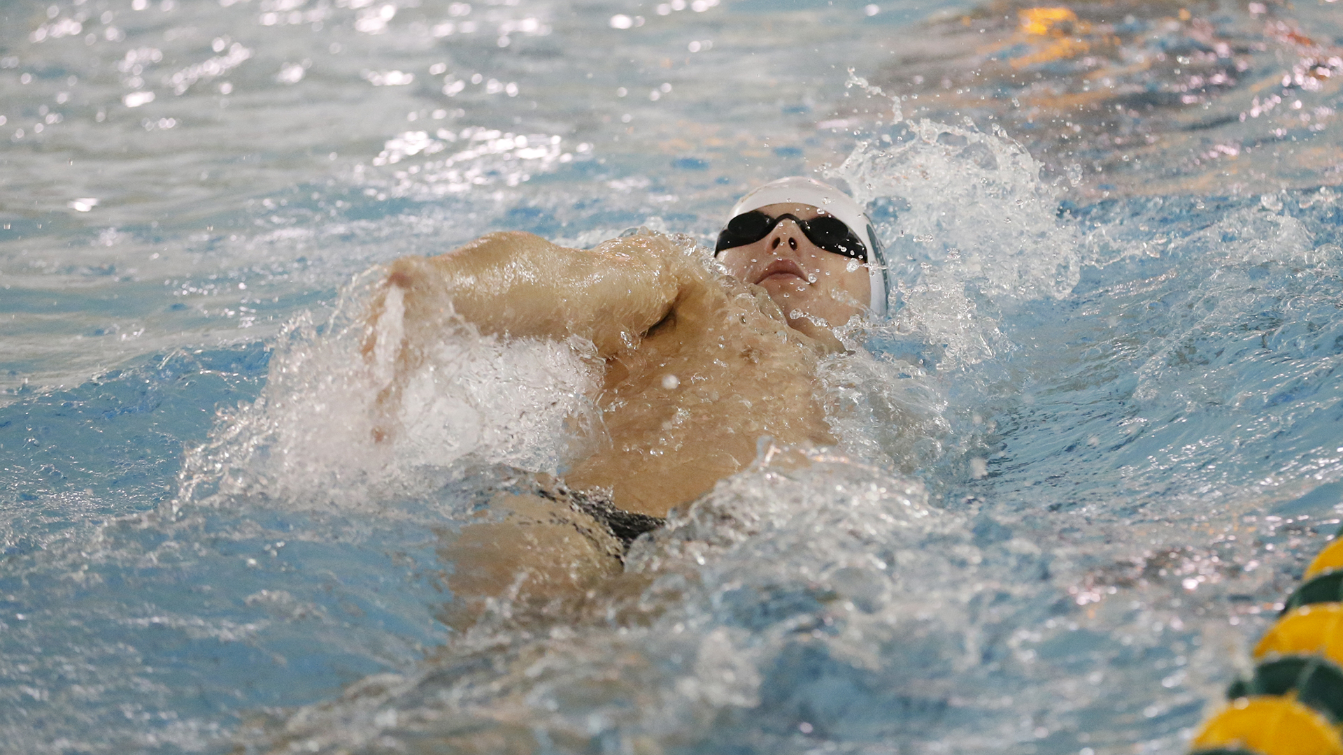 Jake Kealy - 2020-21 - Men's Swimming - William & Mary Athletics