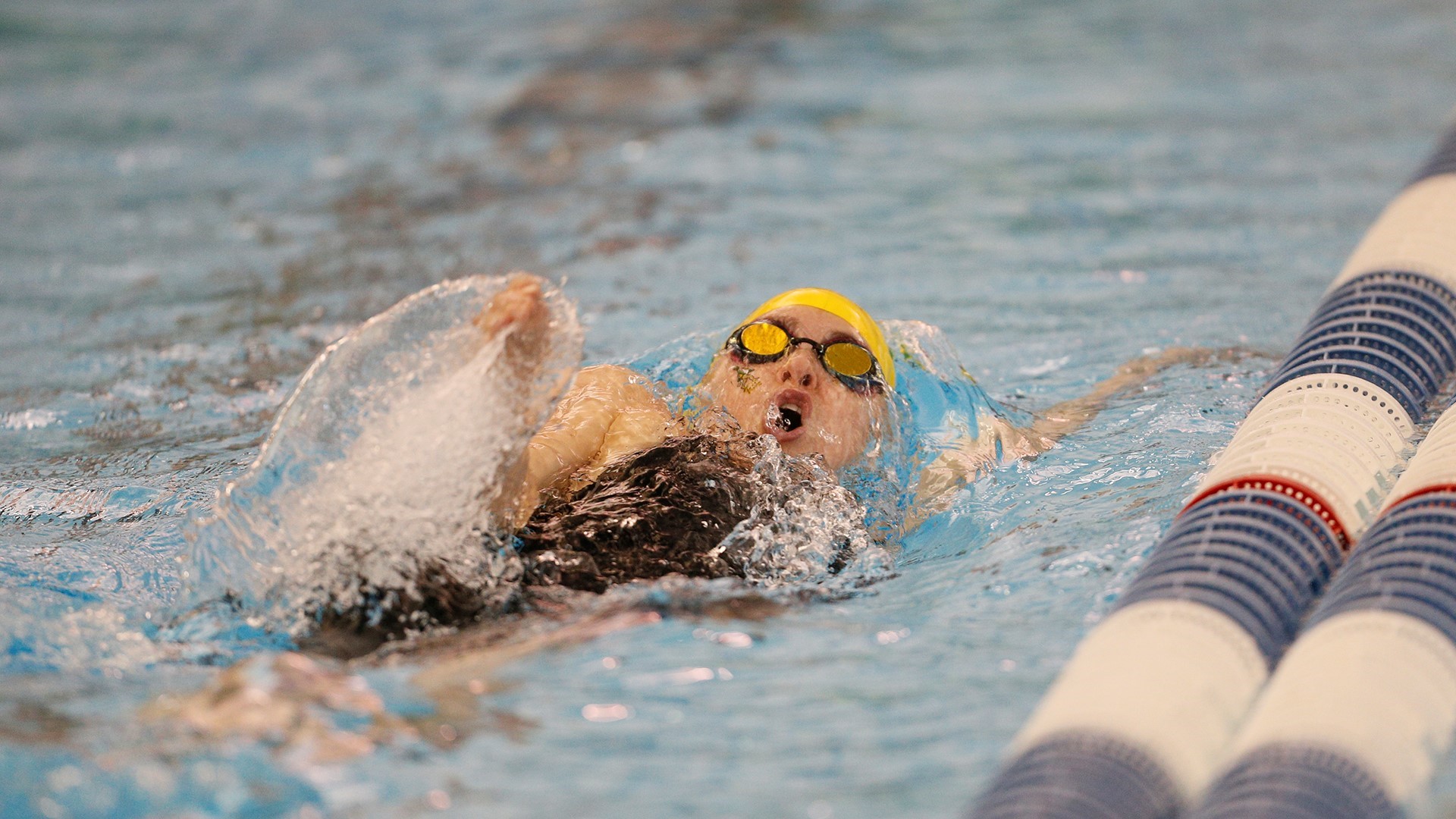 Emma Merrill - 2017-18 - Women's Swimming - William & Mary Athletics