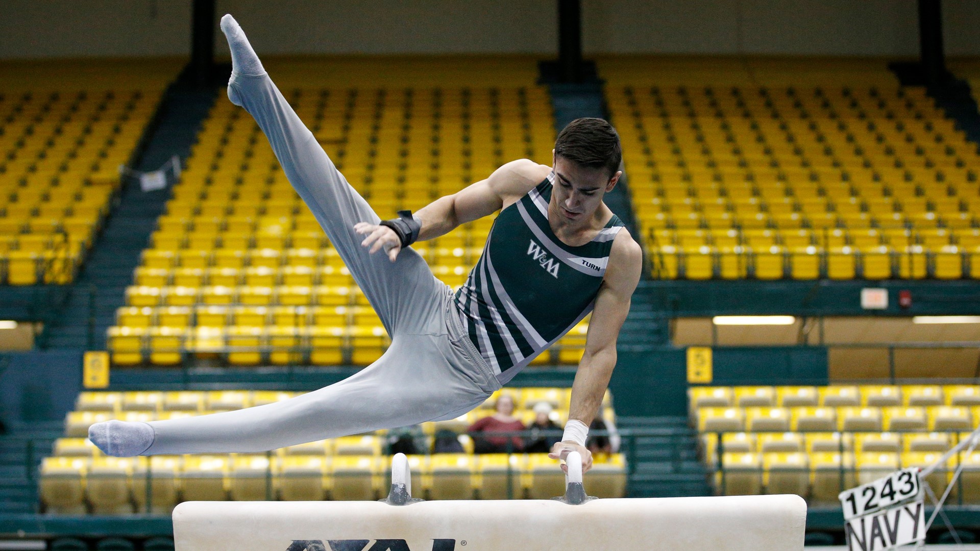 Aria Sabbagh - 2016-17 - Men's Gymnastics - William & Mary Athletics