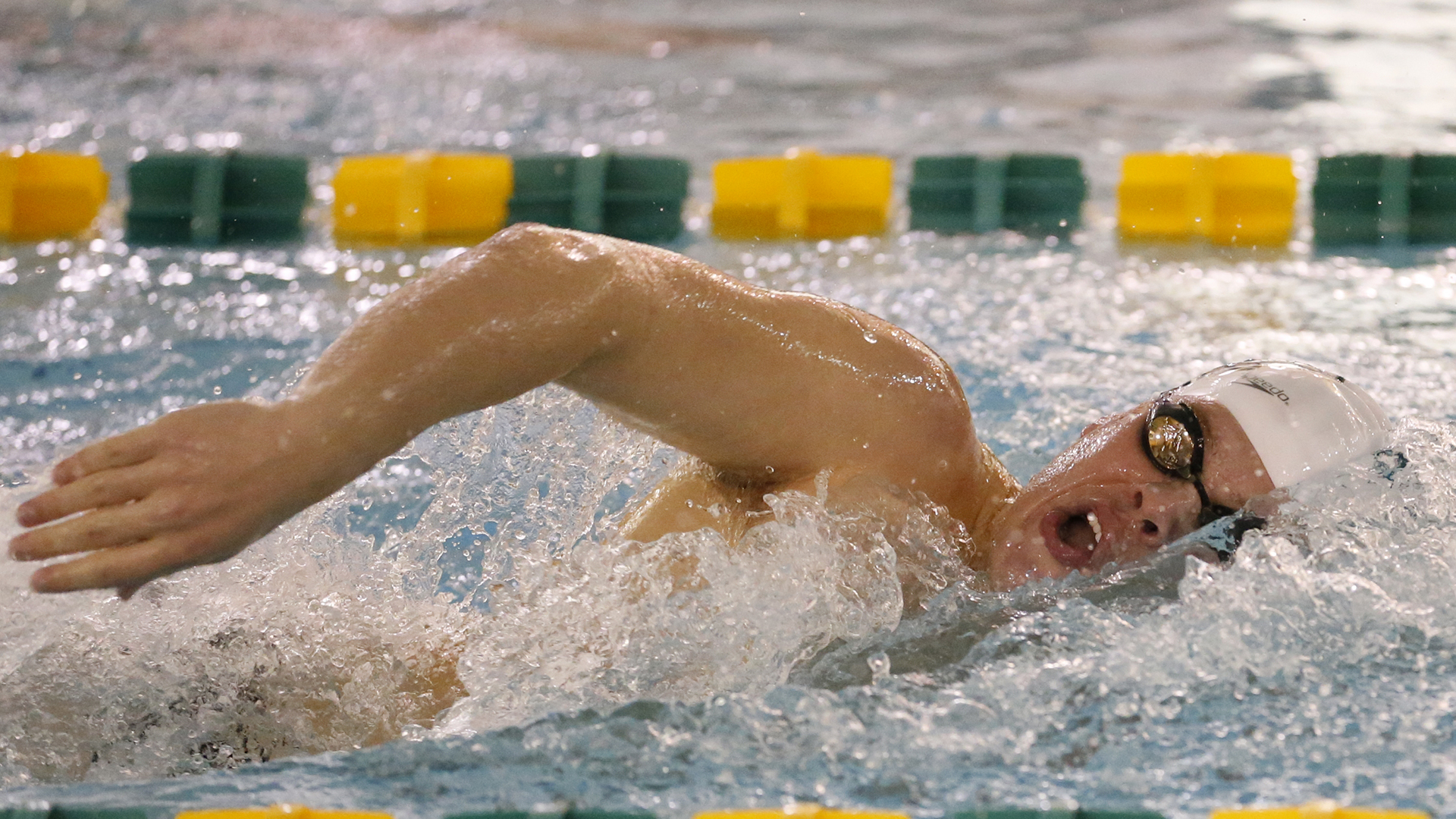 Carter Kale - 2018-19 - Men's Swimming - William & Mary Athletics