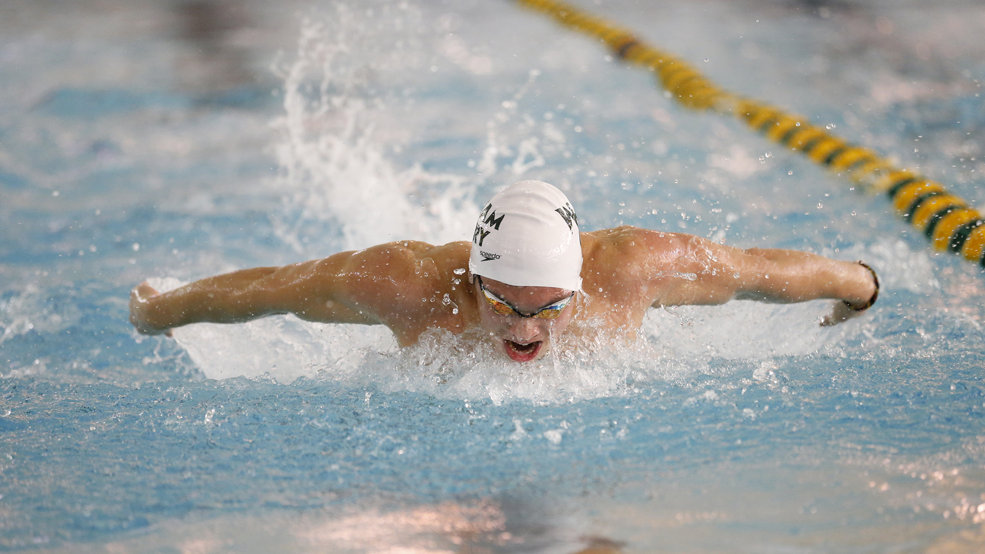Steven Thalblum - 2020-21 - Men's Swimming - William & Mary Athletics