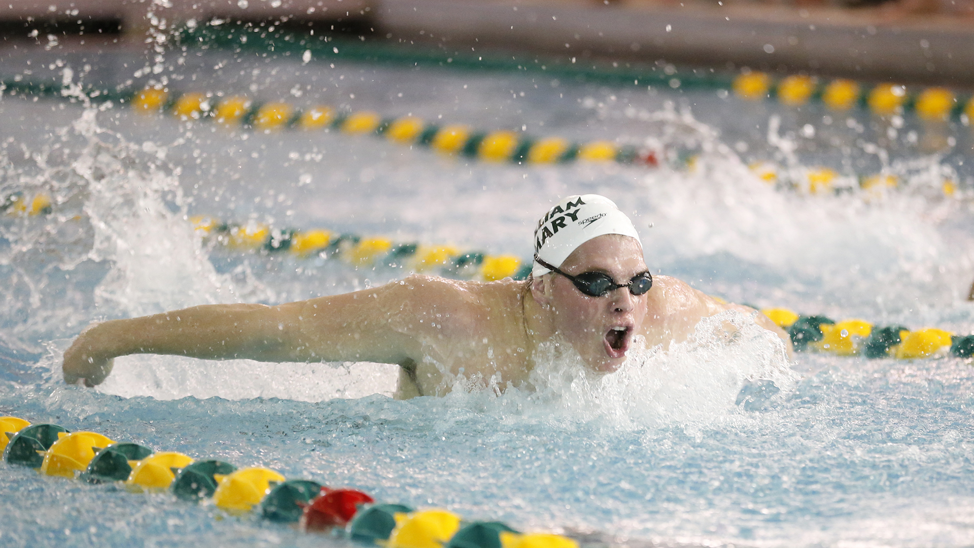 Carter Kale - 2018-19 - Men's Swimming - William & Mary Athletics
