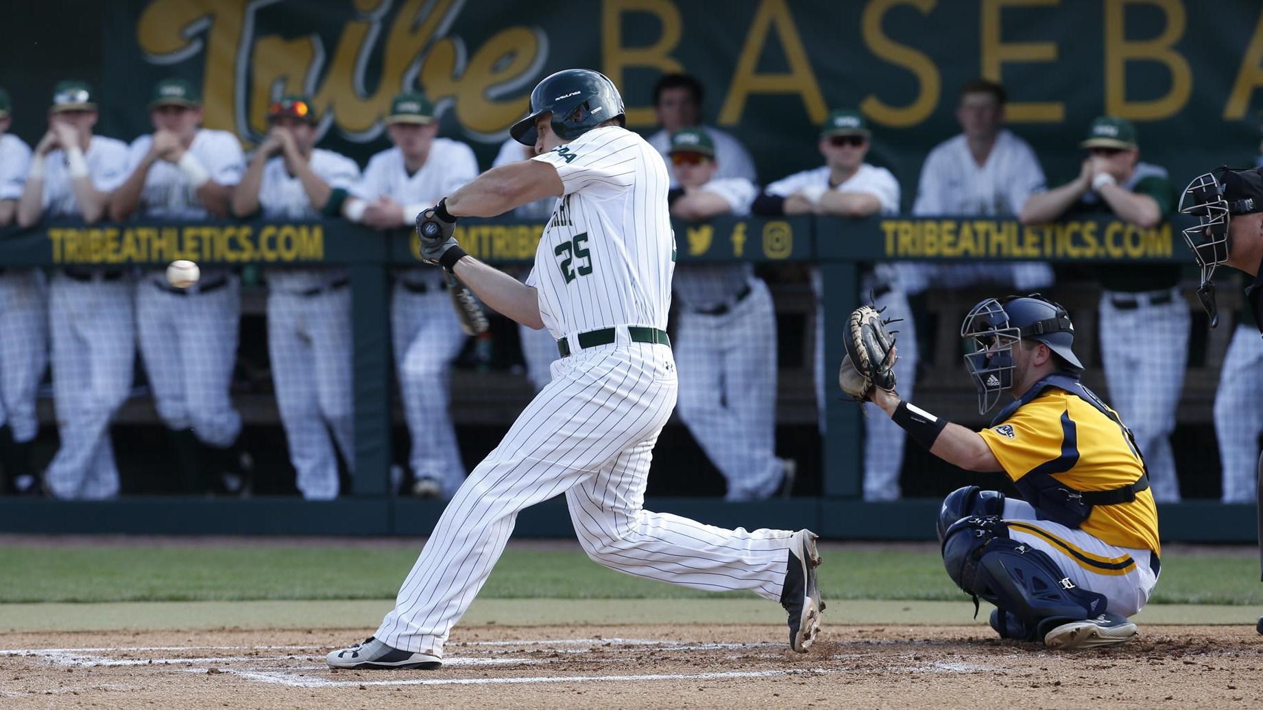 Luca Farina - 2018 - Baseball - William & Mary Athletics