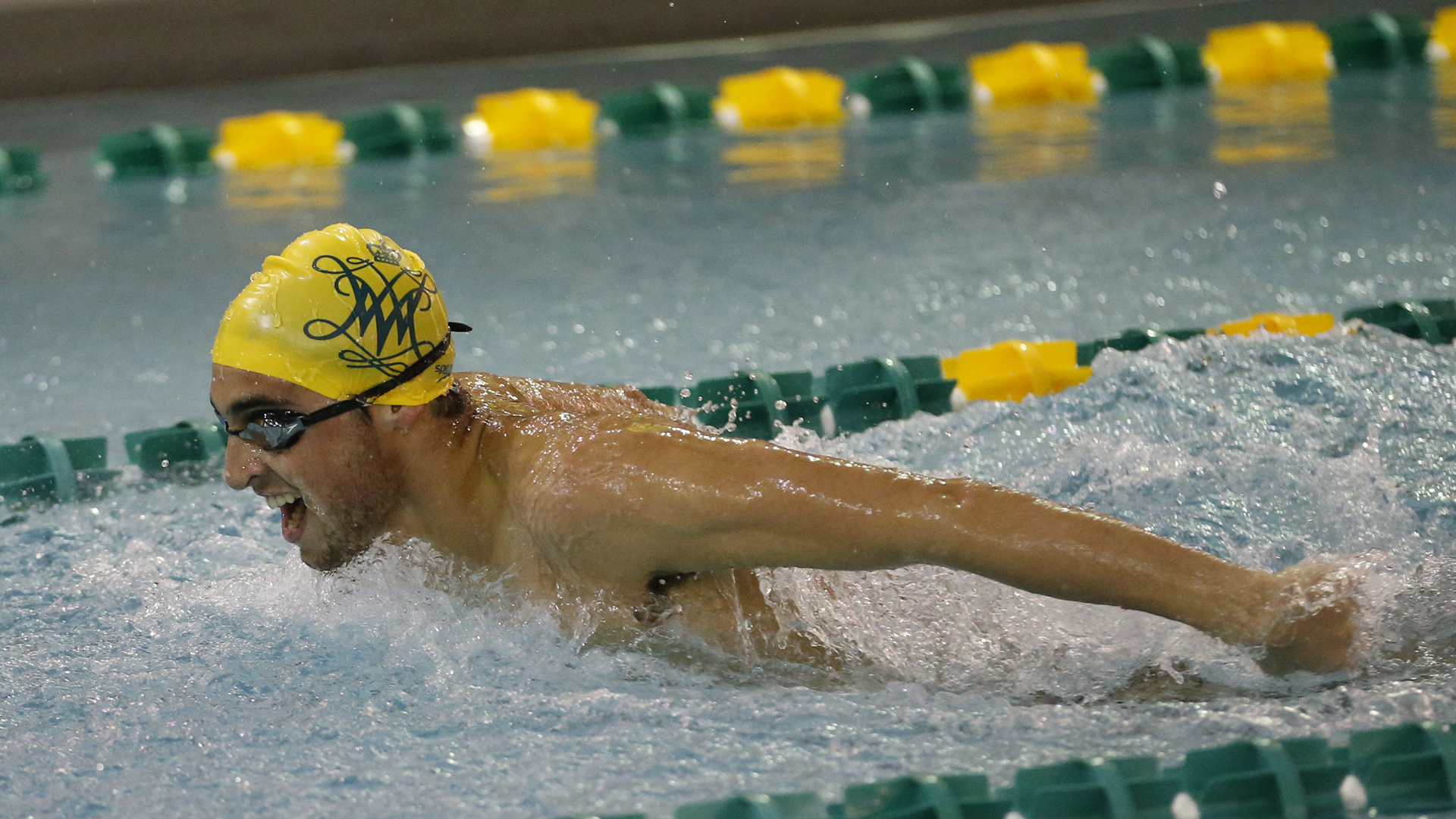 James Mostofi - 2018-19 - Men's Swimming - William & Mary Athletics